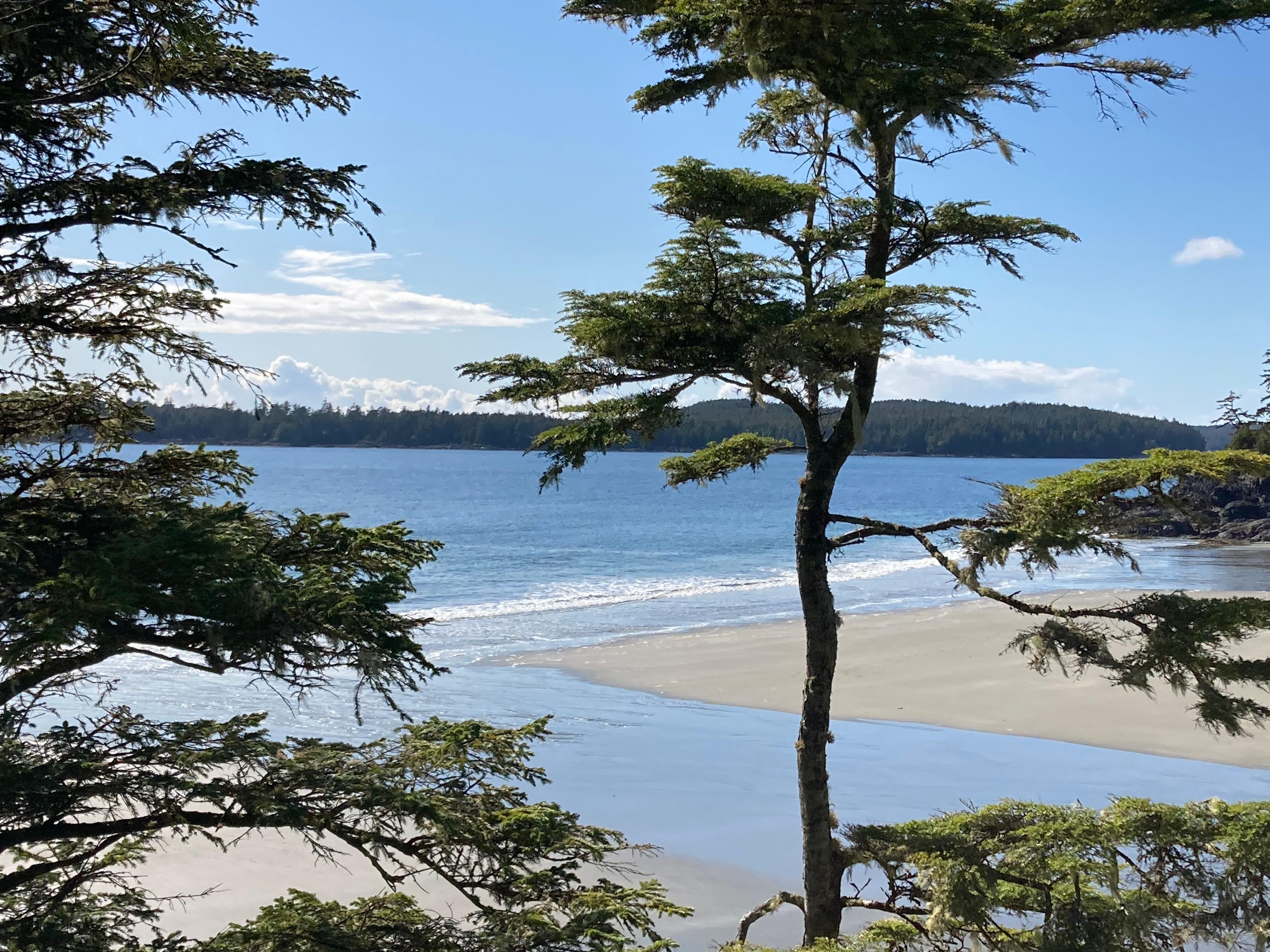 Book Middle Beach Lodge in Tofino | Hotels.com