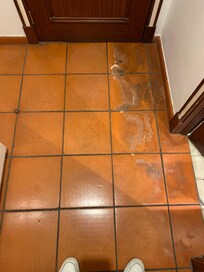 Sinais de degradação