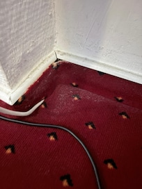 Dodgy wiring