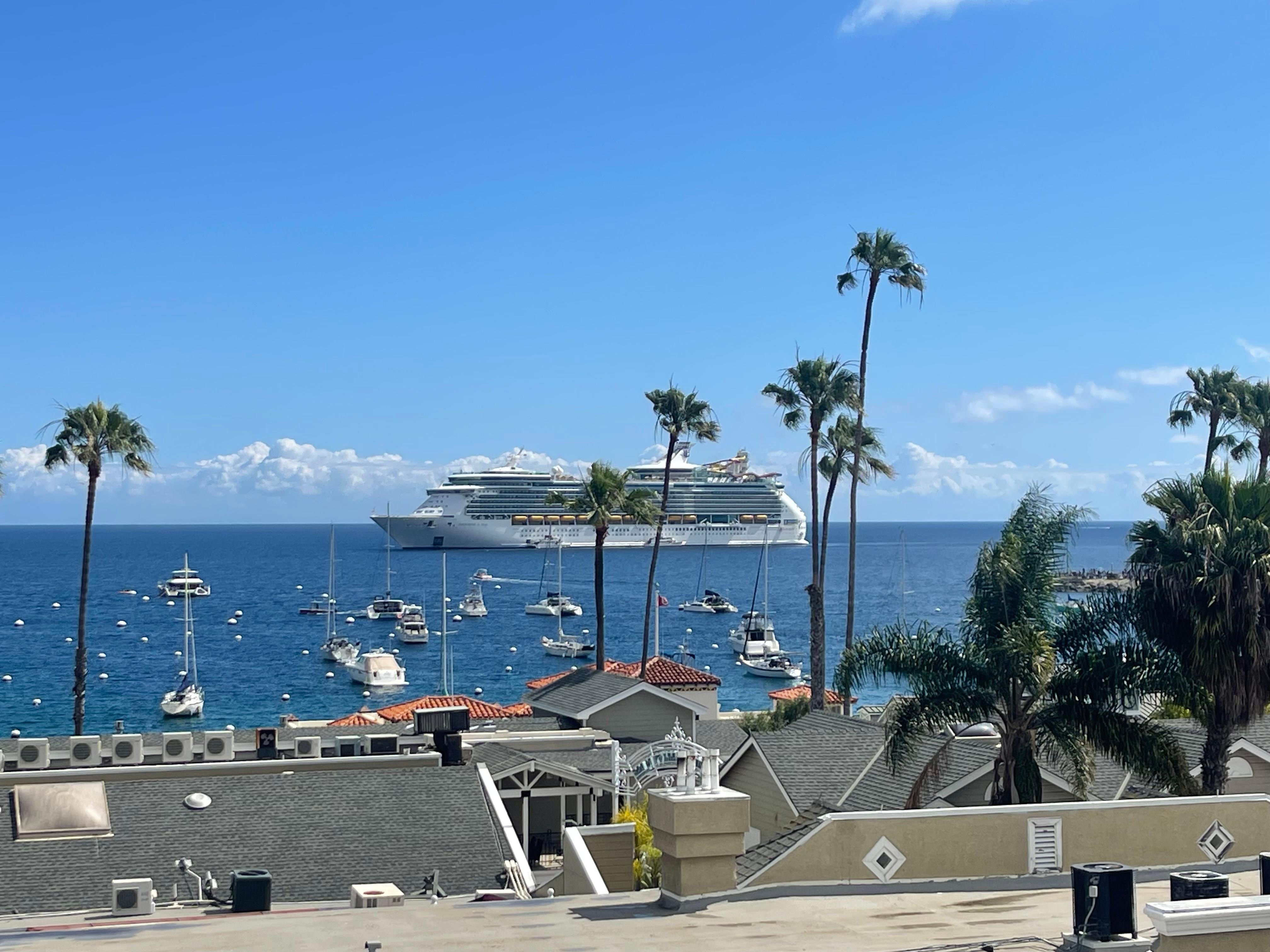 the new from the room.  A different cruise ship each day.