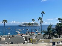 the new from the room. A different cruise ship each day.