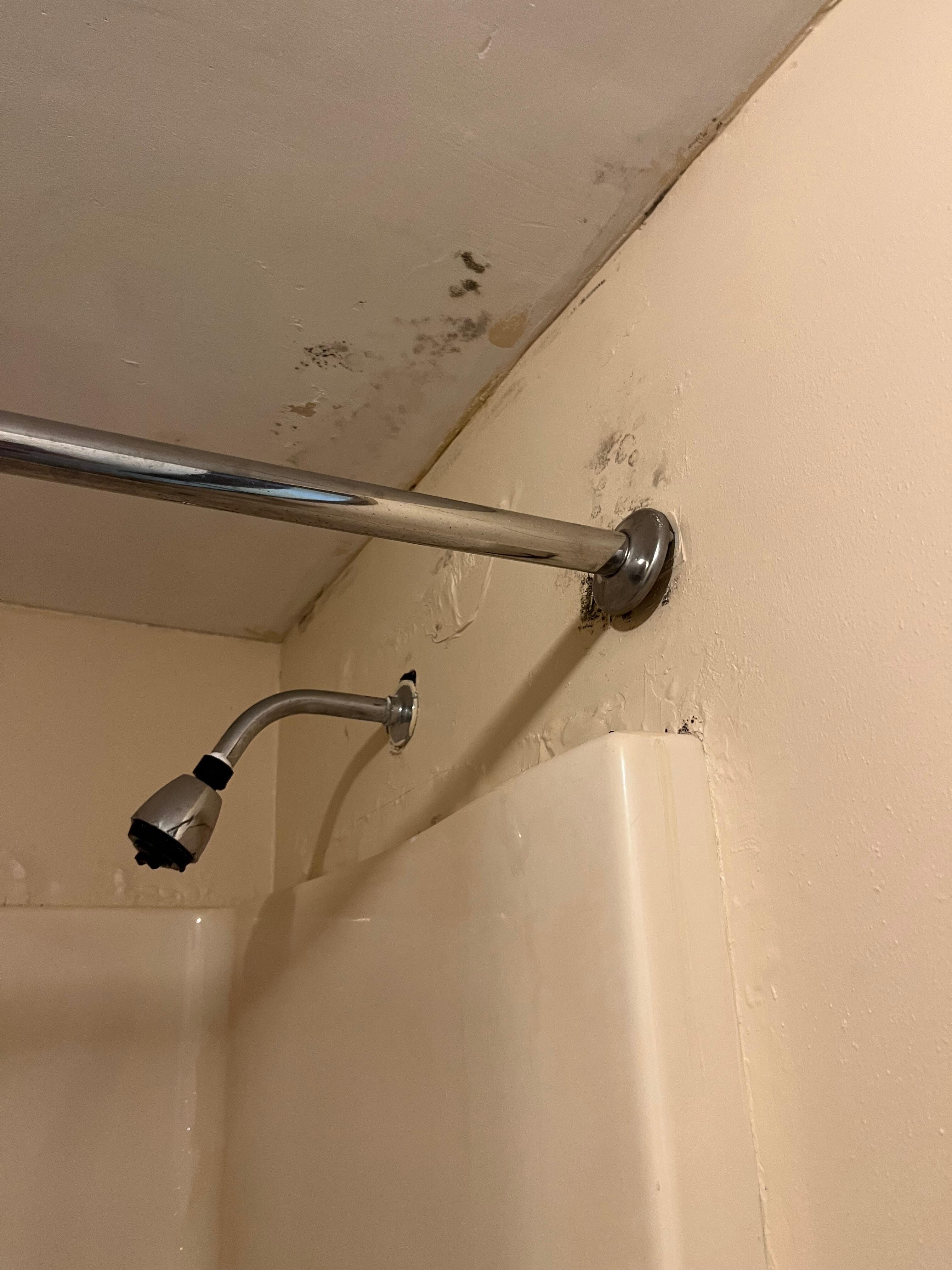 The shower with black mold. On the ledge, you can see the stick. 