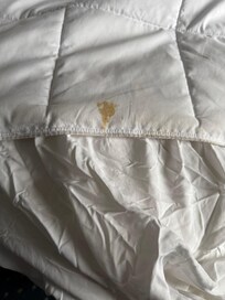 Poop on comforter