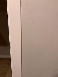 Stains on bathroom wall