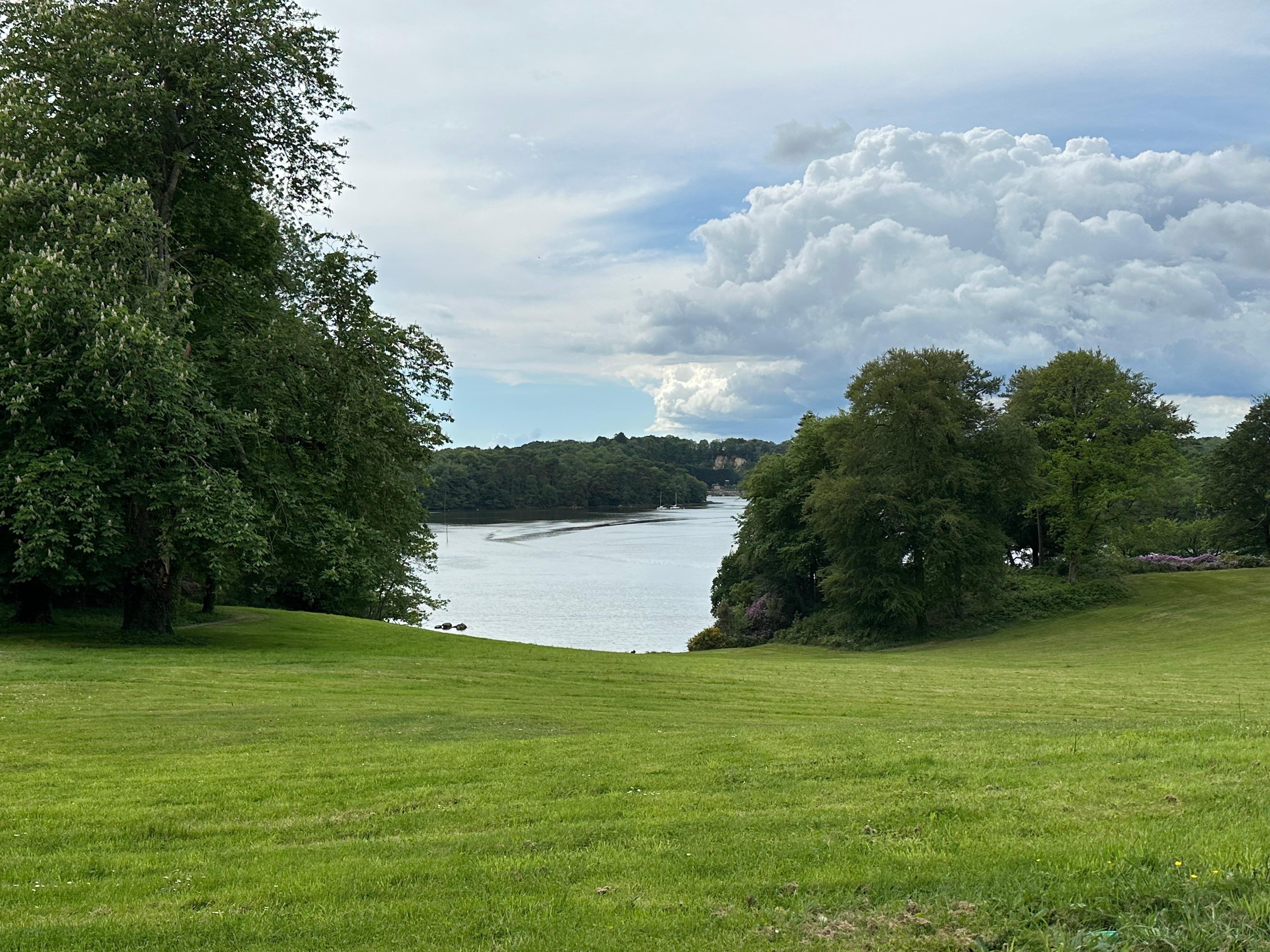 La clairière