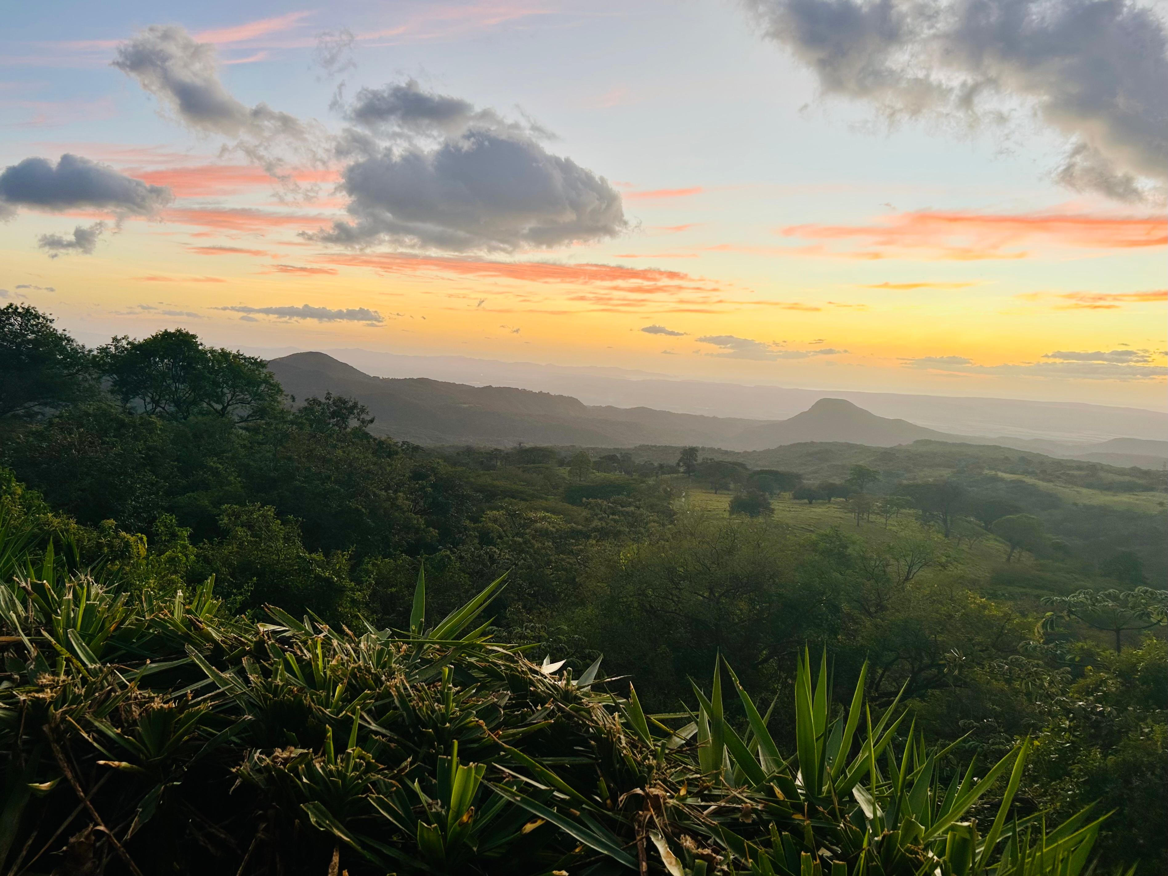 View from the Mirador restaurant 