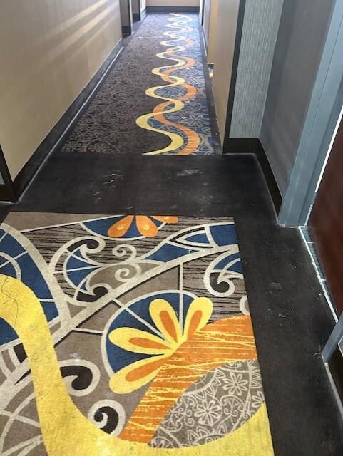 The hallways, entrance area, and dining room all filthy carpet. 