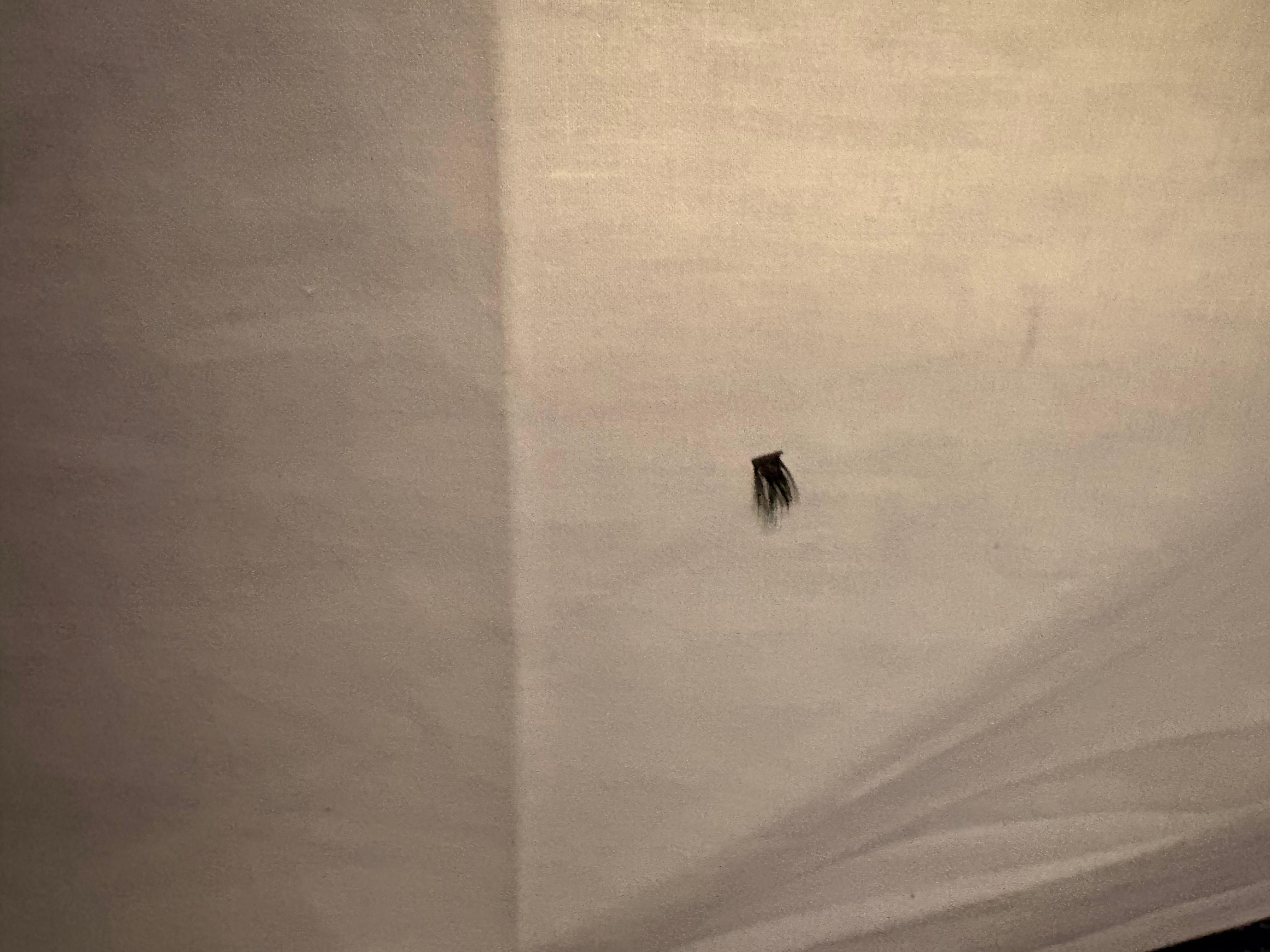 Des faux cils collés à mon drap soit disant propre  