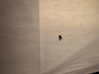 Des faux cils collés à mon drap soit disant propre