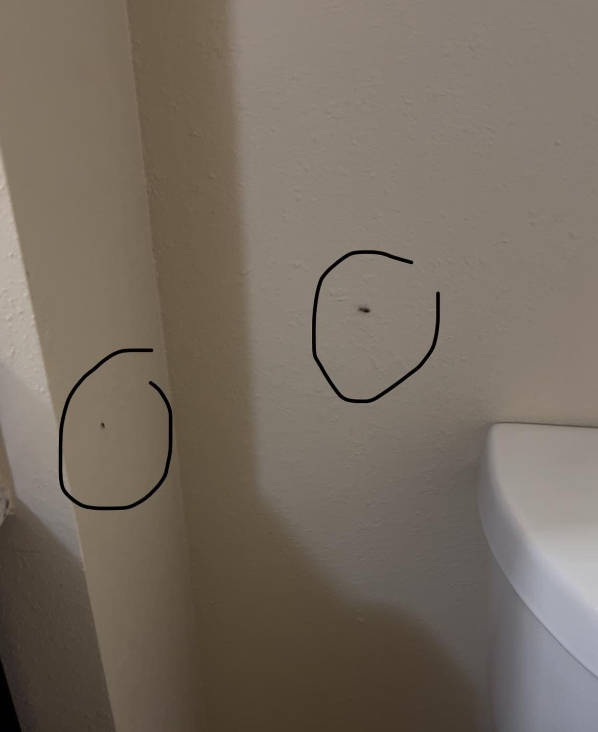 2 roaches crawling up the walls in r to he bathroom. 