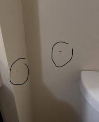 2 roaches crawling up the walls in r to he bathroom.
