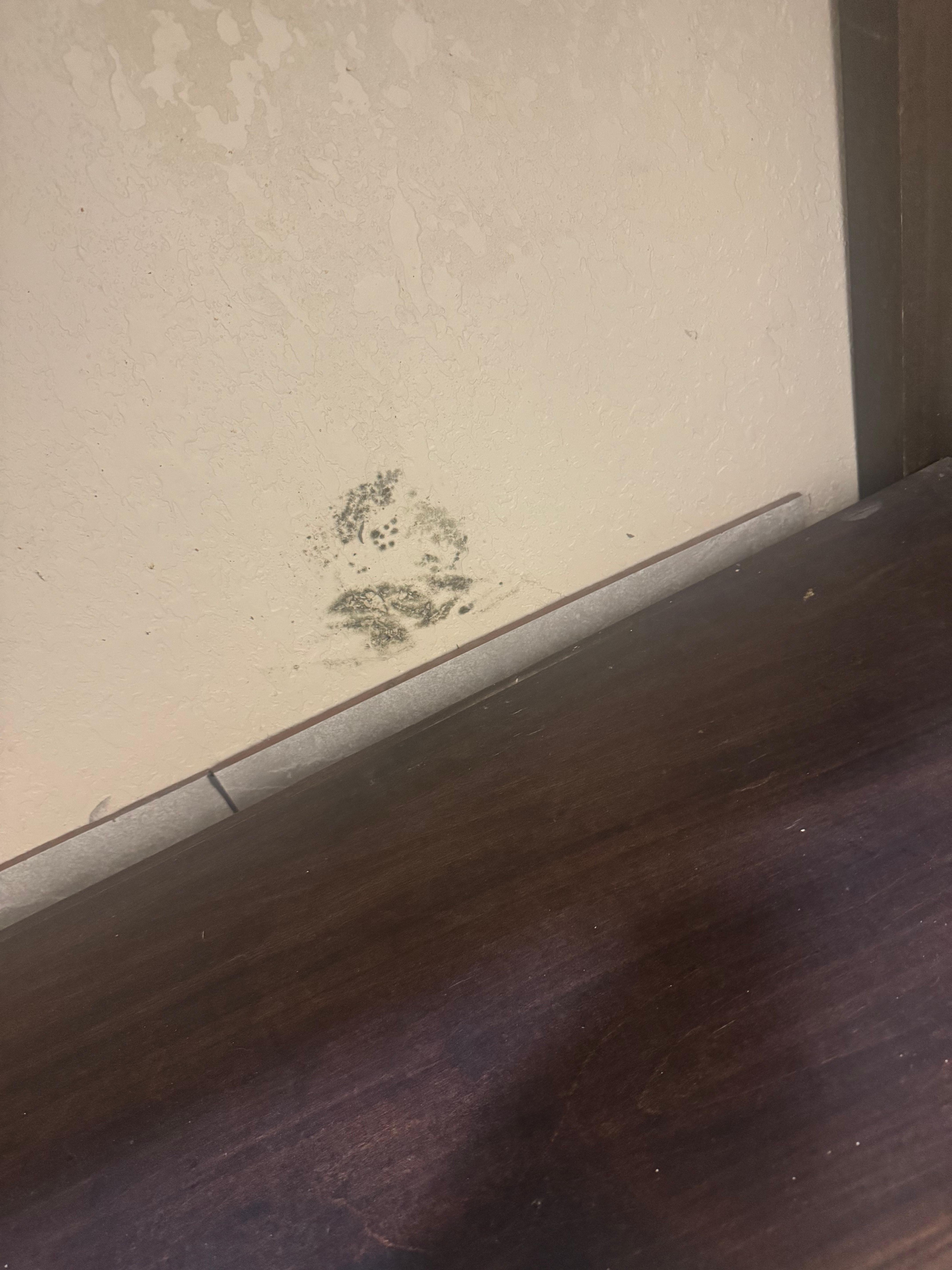 There was mold in the bathroom