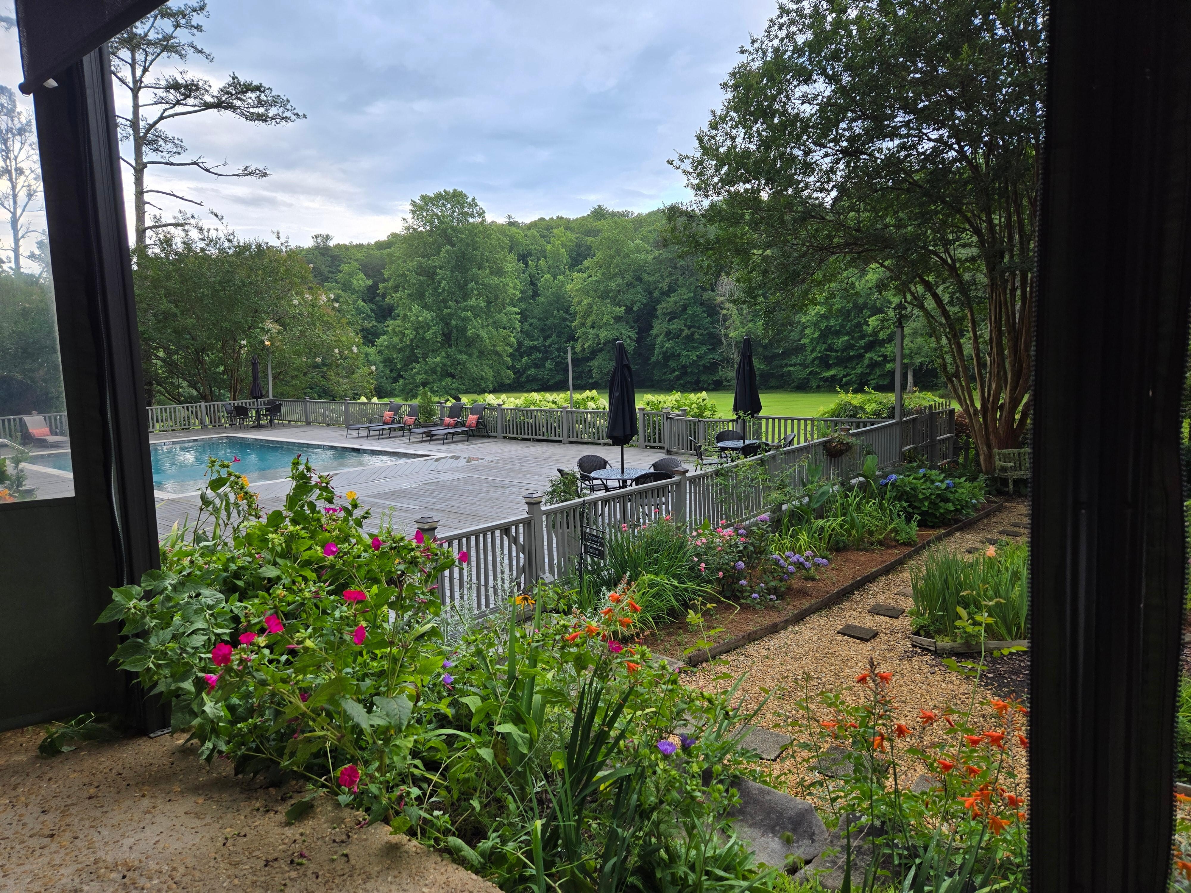 View of the field and pool area from the restaurant terrace.