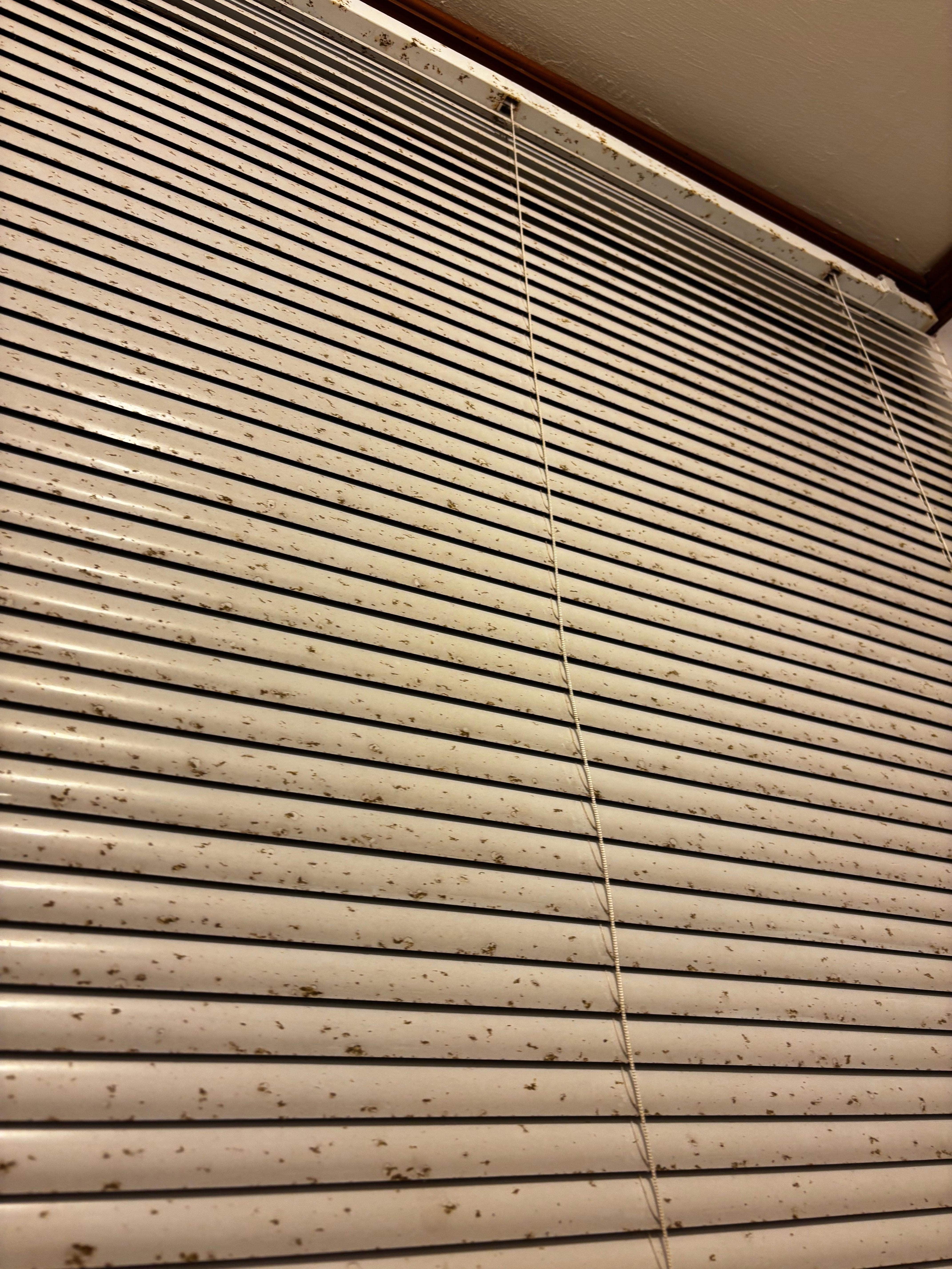 Ulækre persienner i brusekabinen