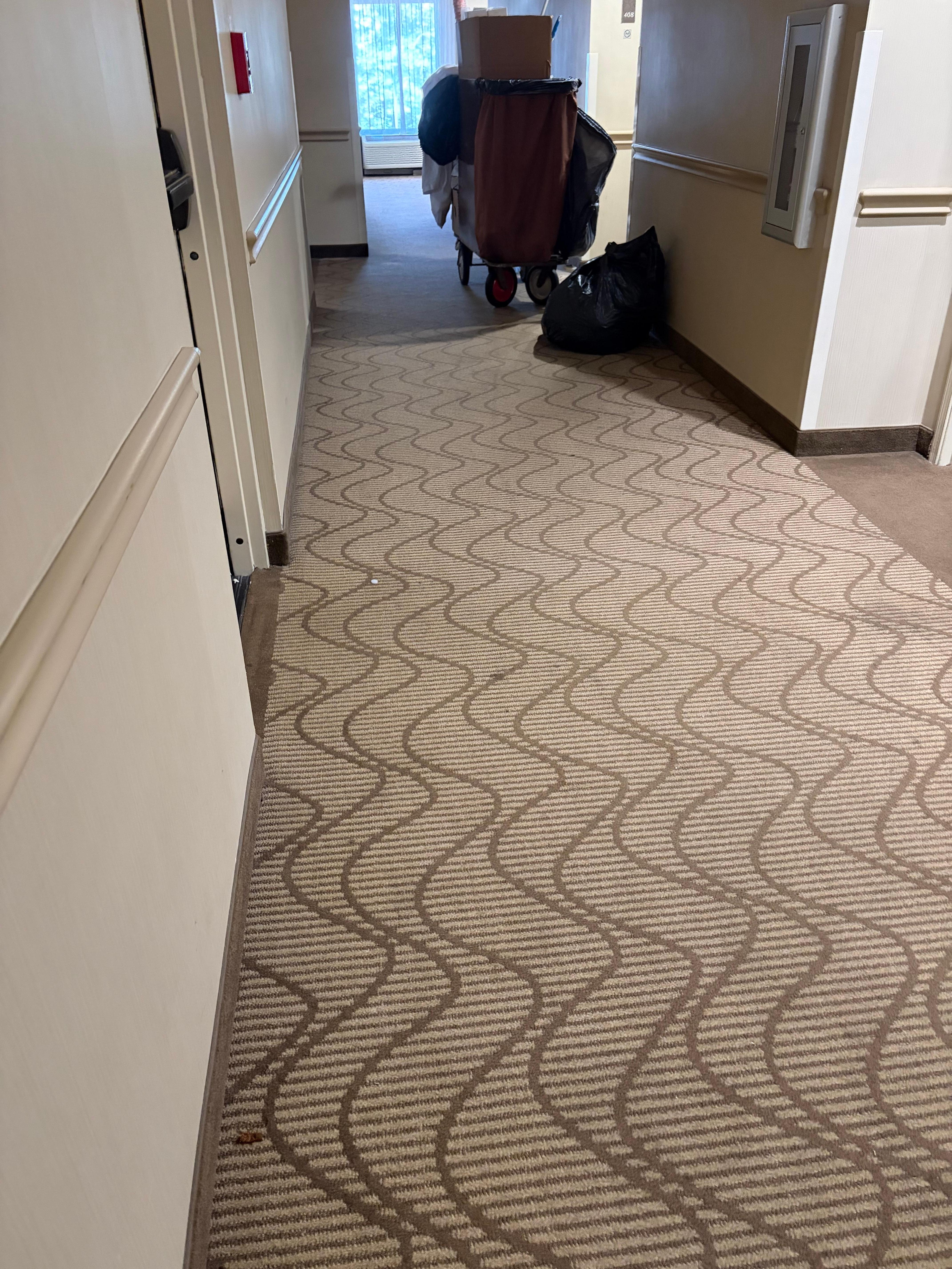 The dead roach in the hallway in relation to the cleaning cart