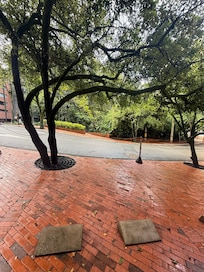 View from the restaurant patio. Quiet Medellin mornings.