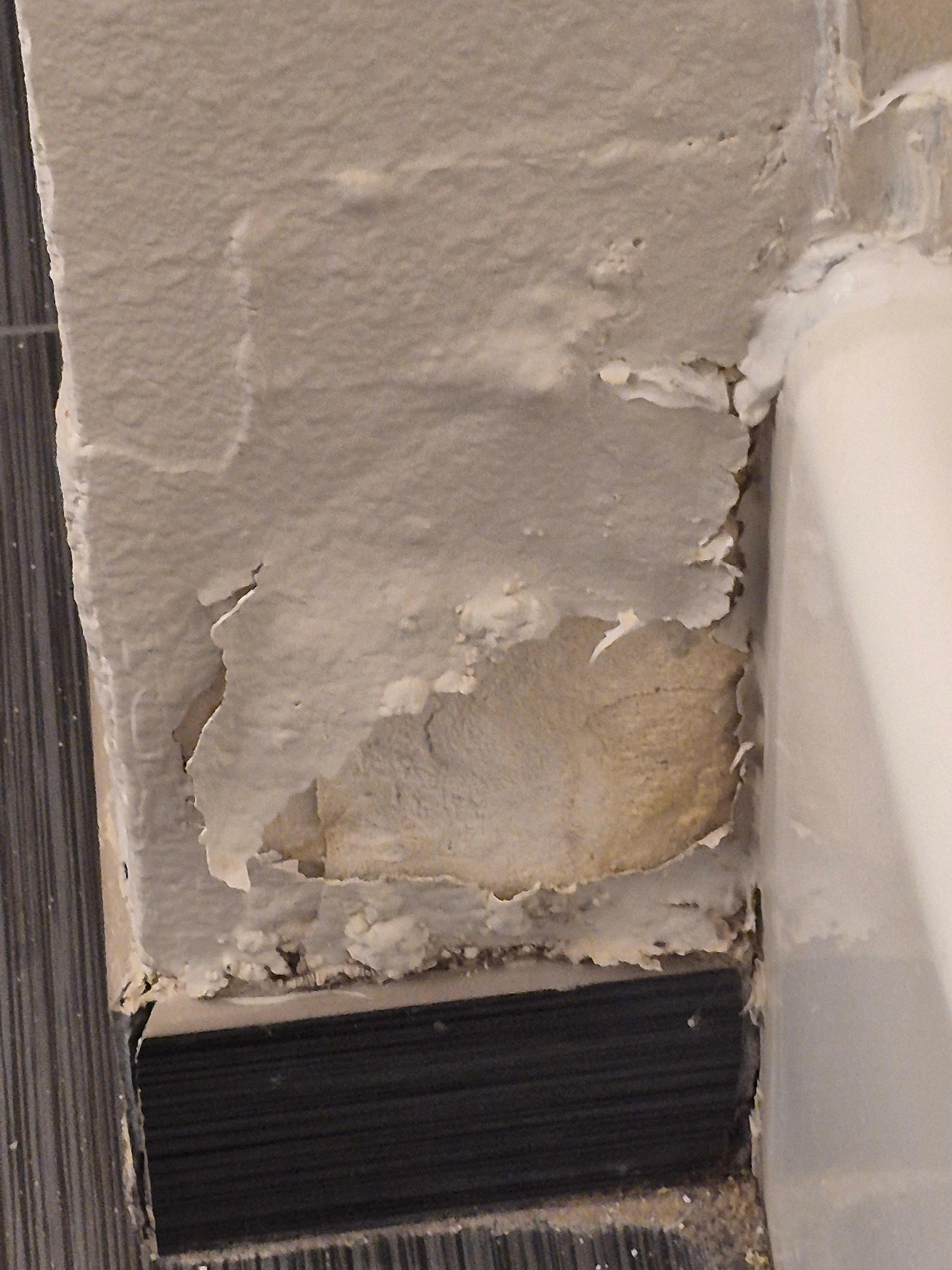 peeling walls in bathroom