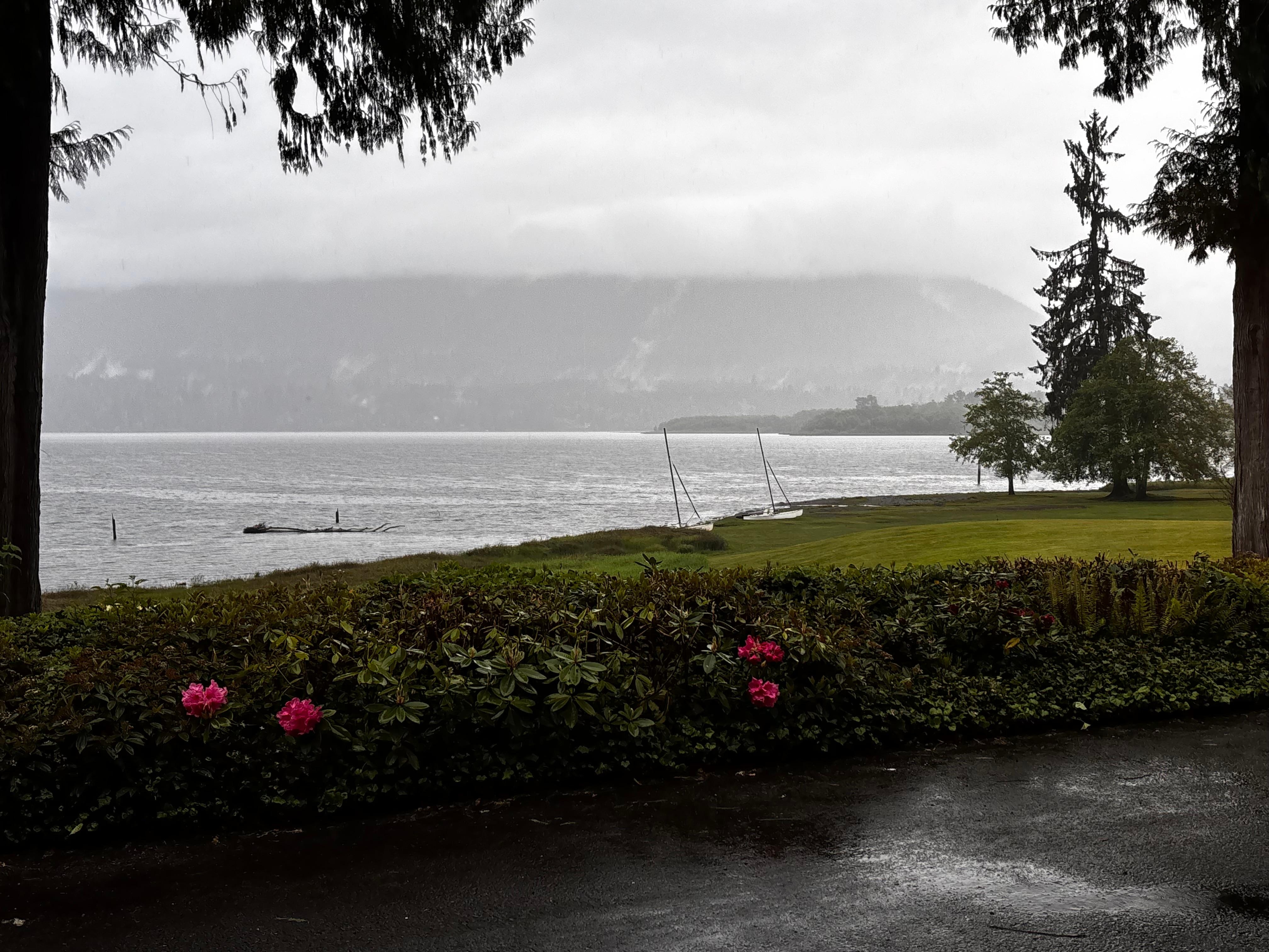 View of the lake