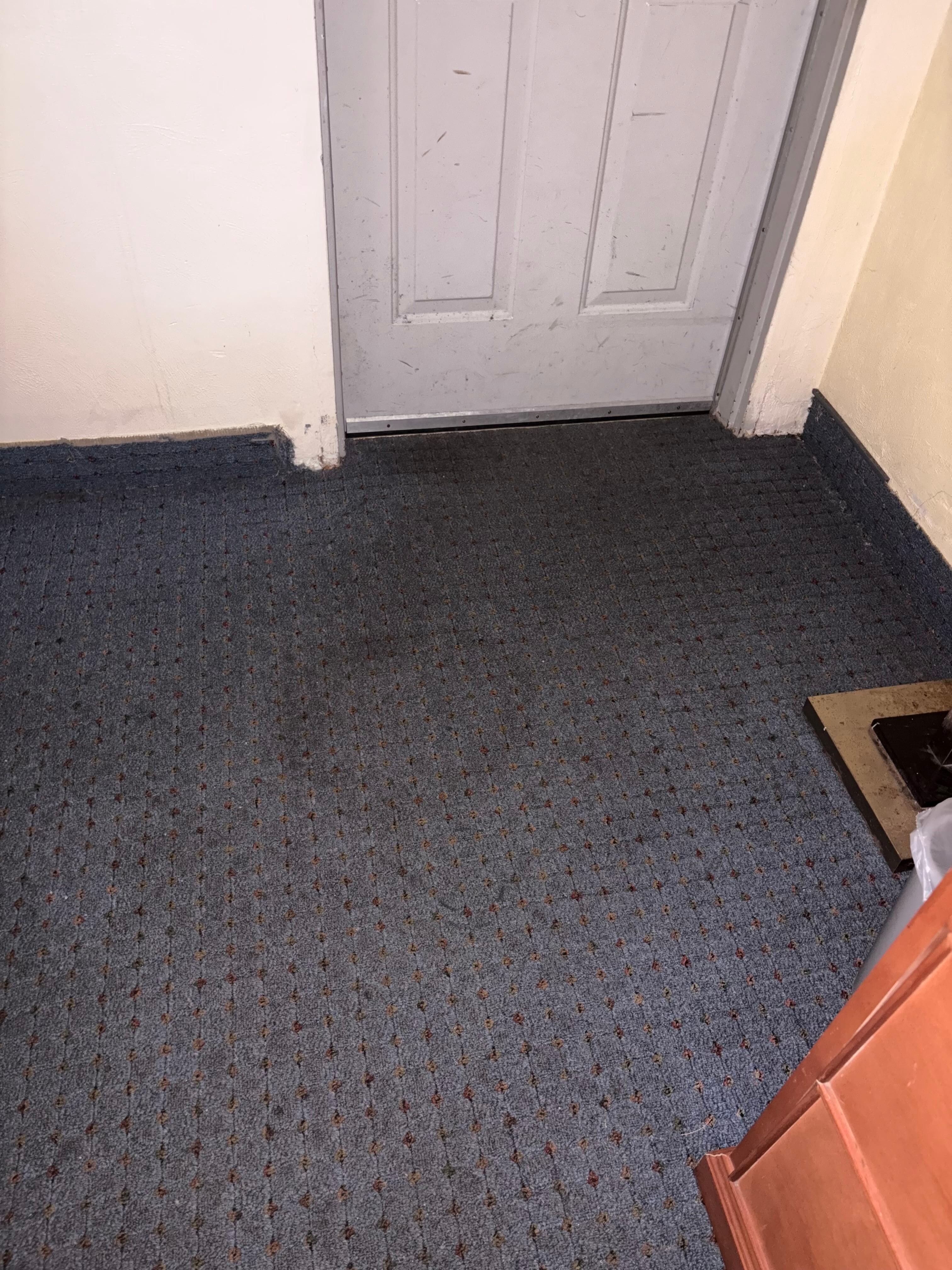 Dirty carpet