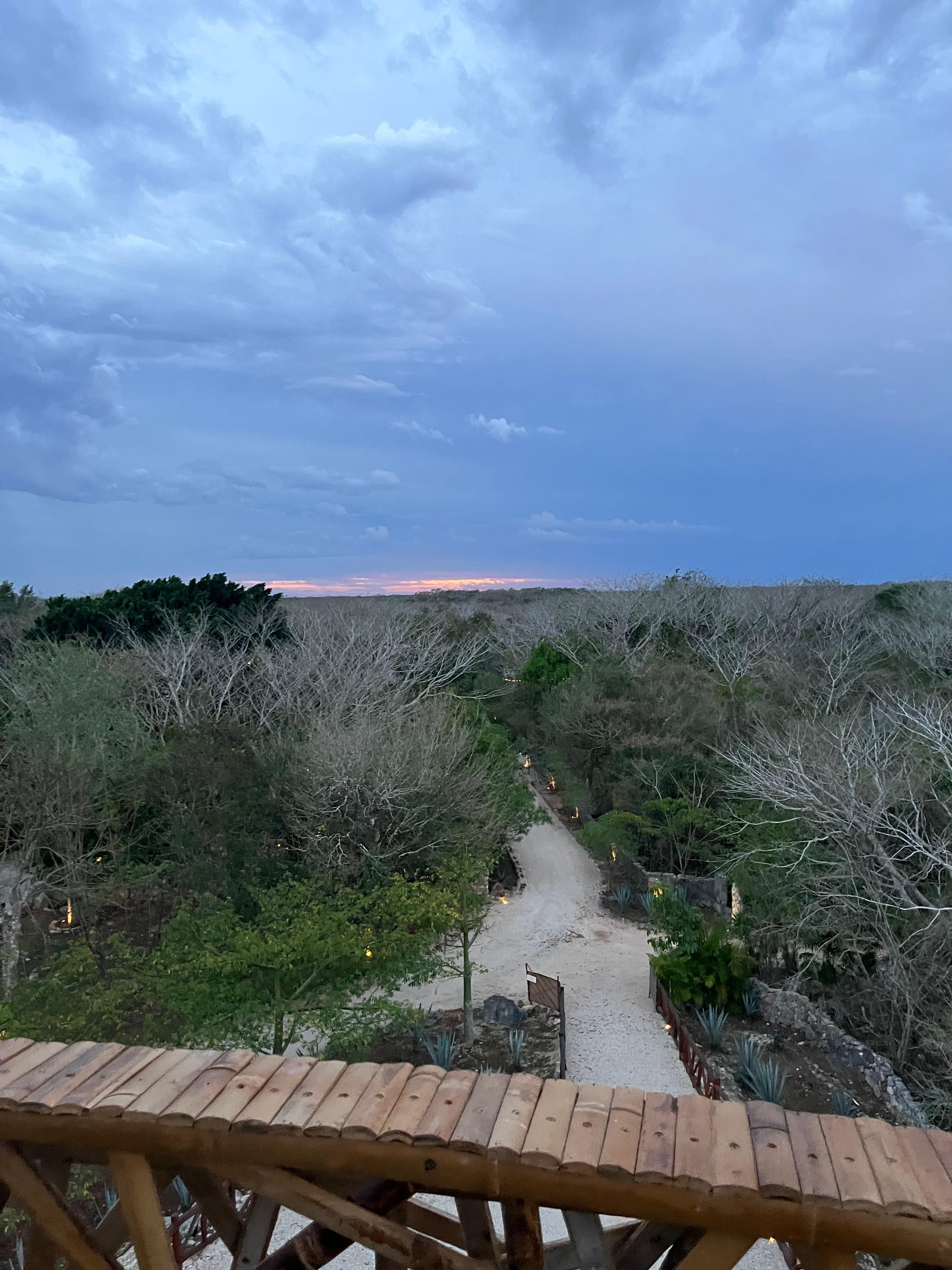 Vista desde el mirador 