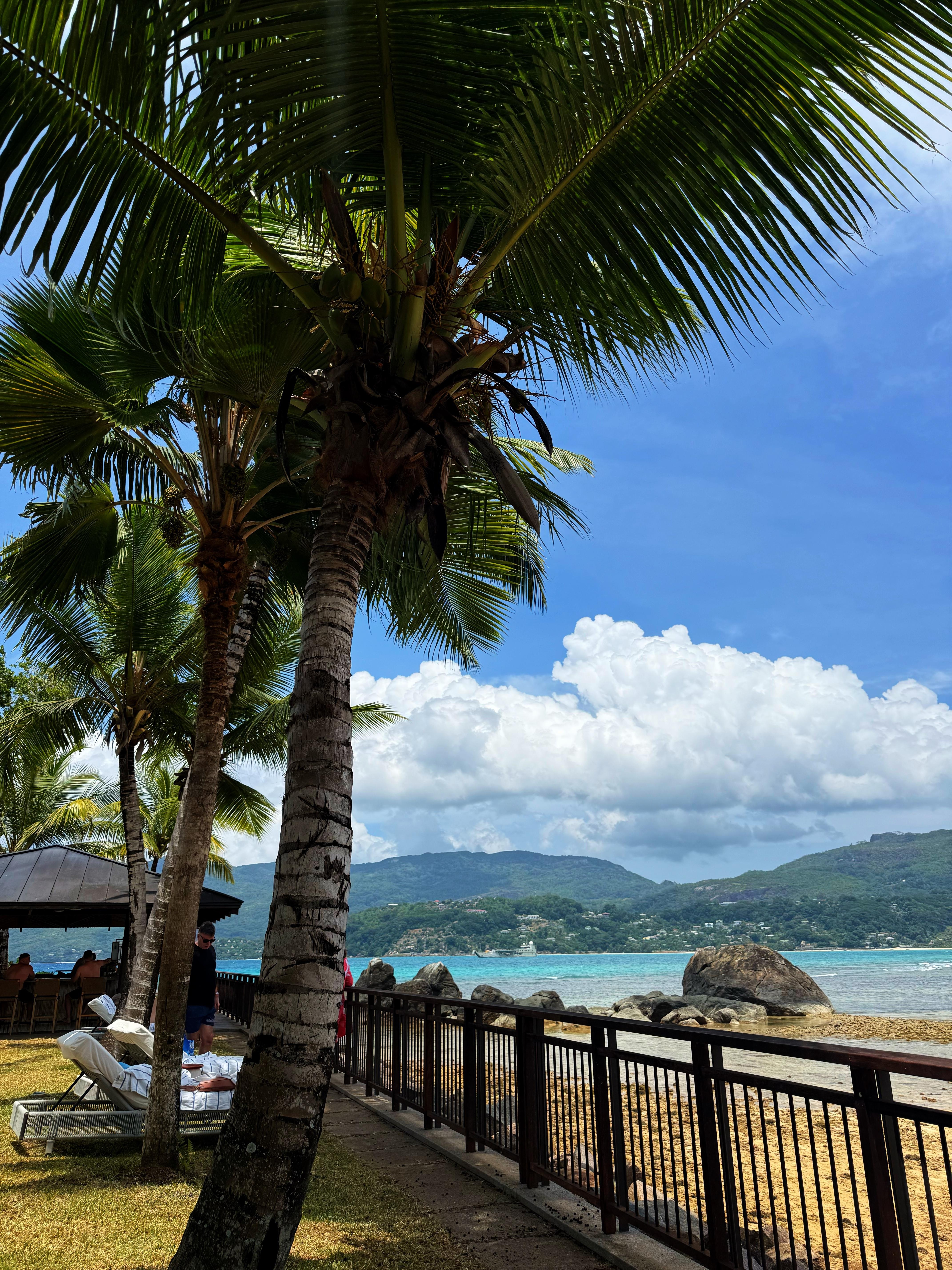 Cocktails upstairs in the bar