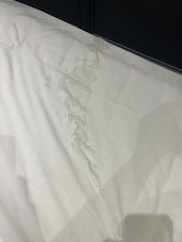 Chewed mattress pad underneath