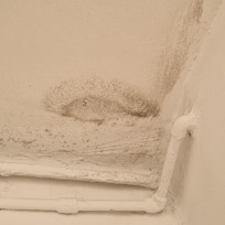 Pas de ventilation. Humidité