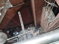 Detritus
