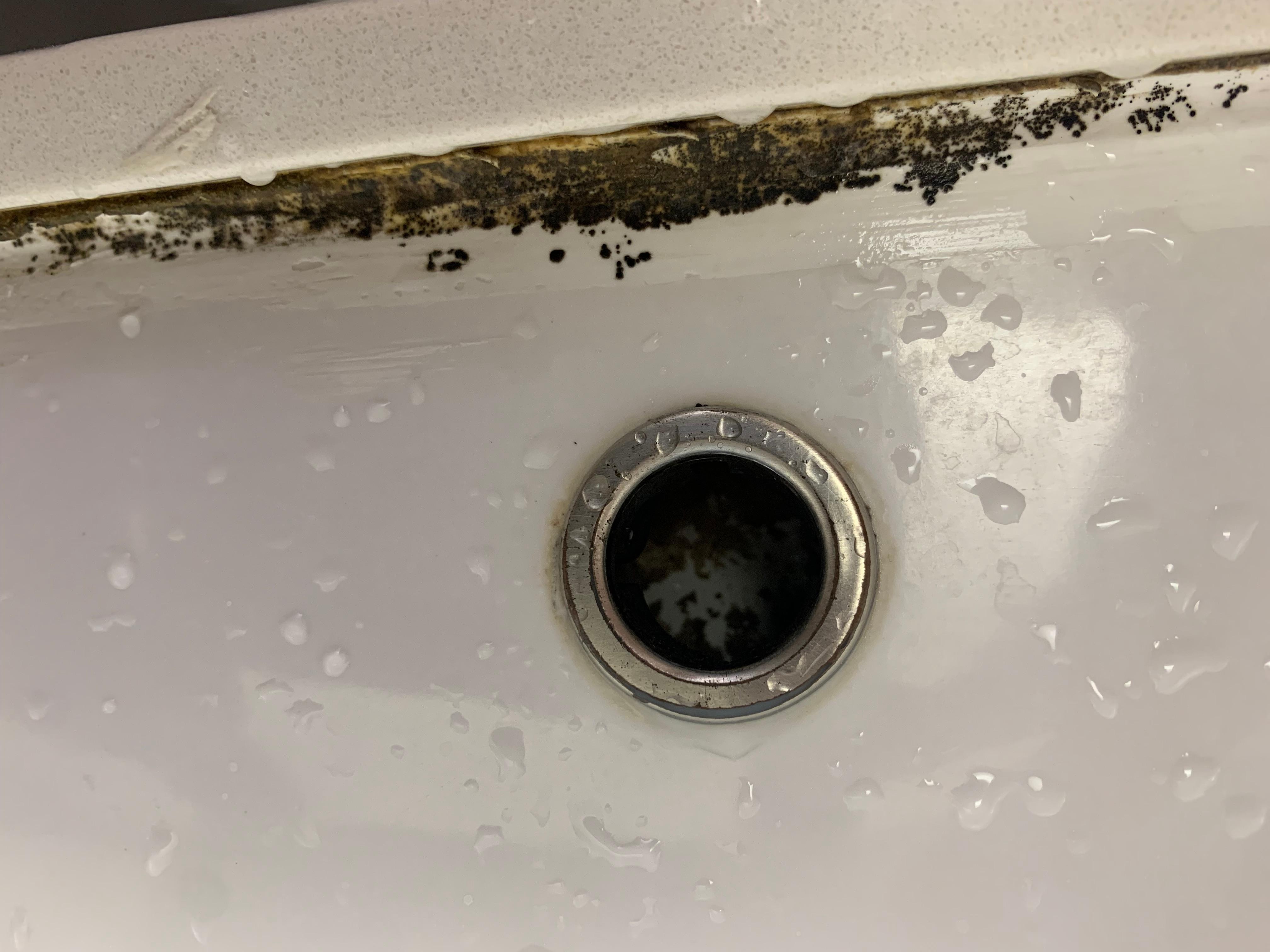 Mouldy sink
