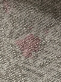 Carpets were very dirty and smelly