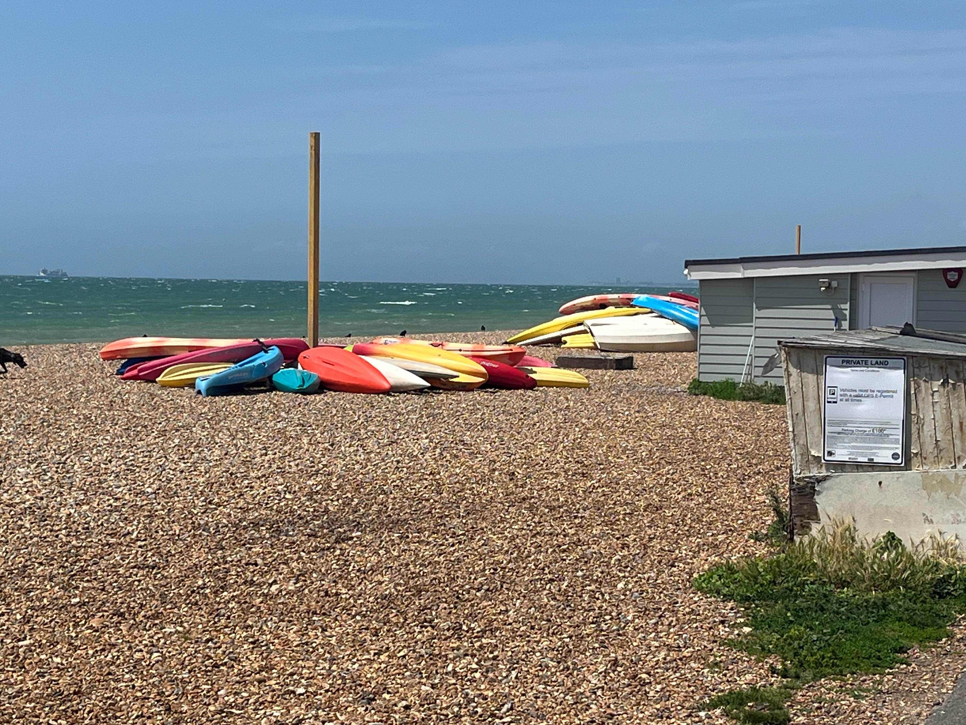 Surfs up!