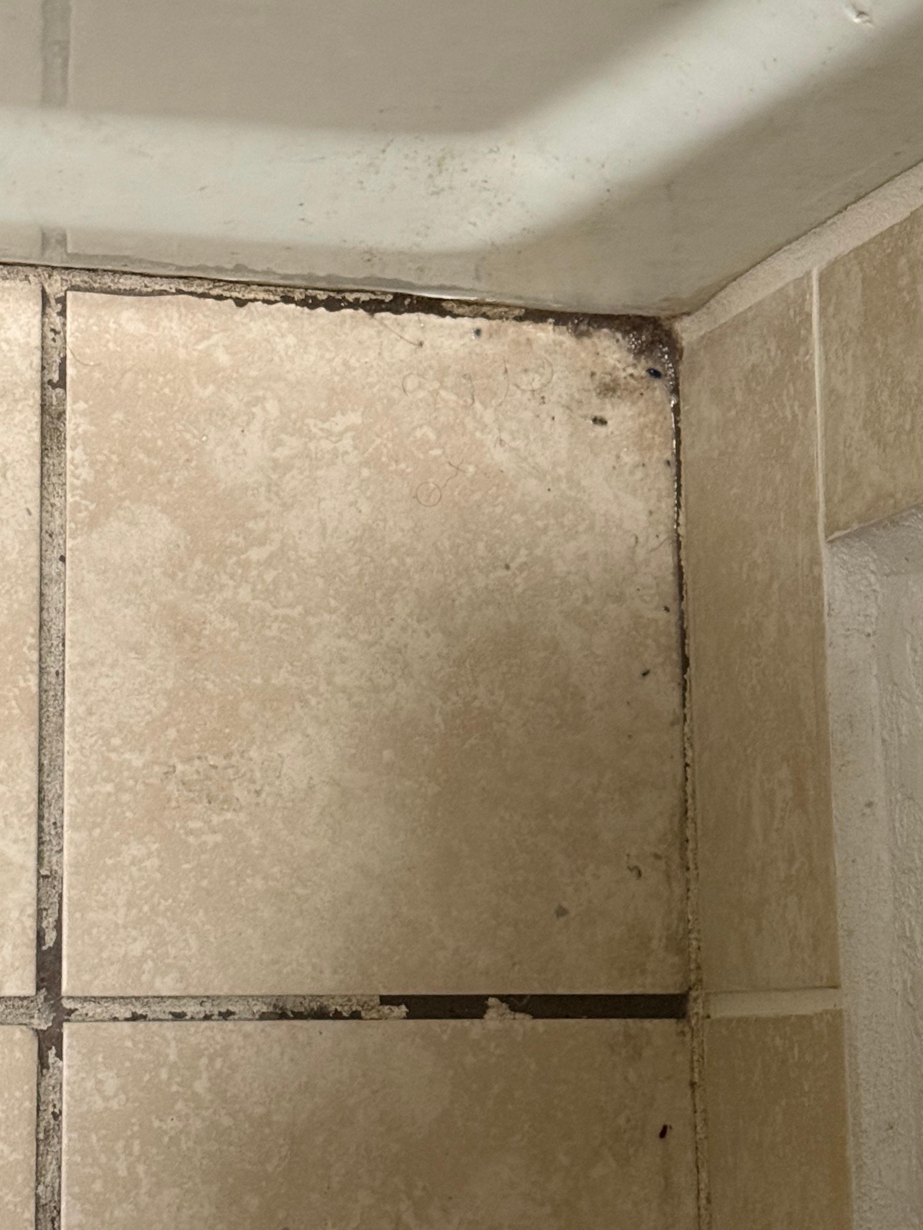 Bathroom floors with visible dirt. 