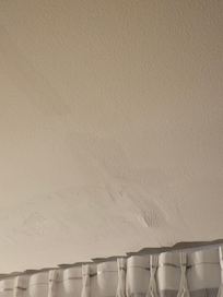 Water Damage in Ceiling