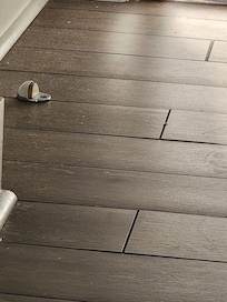 Hair and dust on the floor