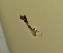 I do belive that this is a booger.....snot..... mucus that carries many many many gems!! This goes into a kleenex,toilet paper or hell a napkin or even a paper towel!! I could keep going but I'm assuming it would be a waste of time.... DISGUSTING