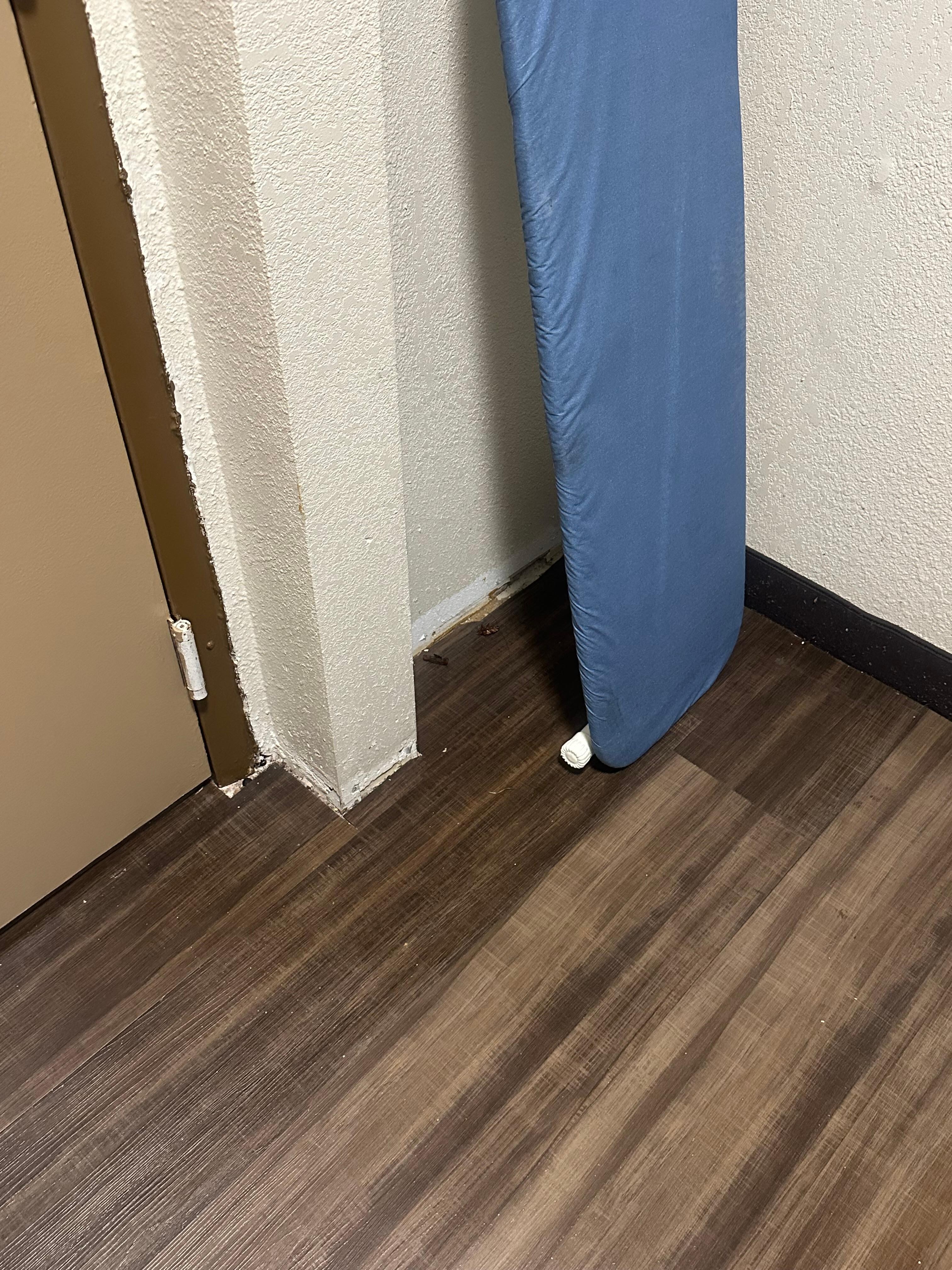 Nasty roaches and bugs 