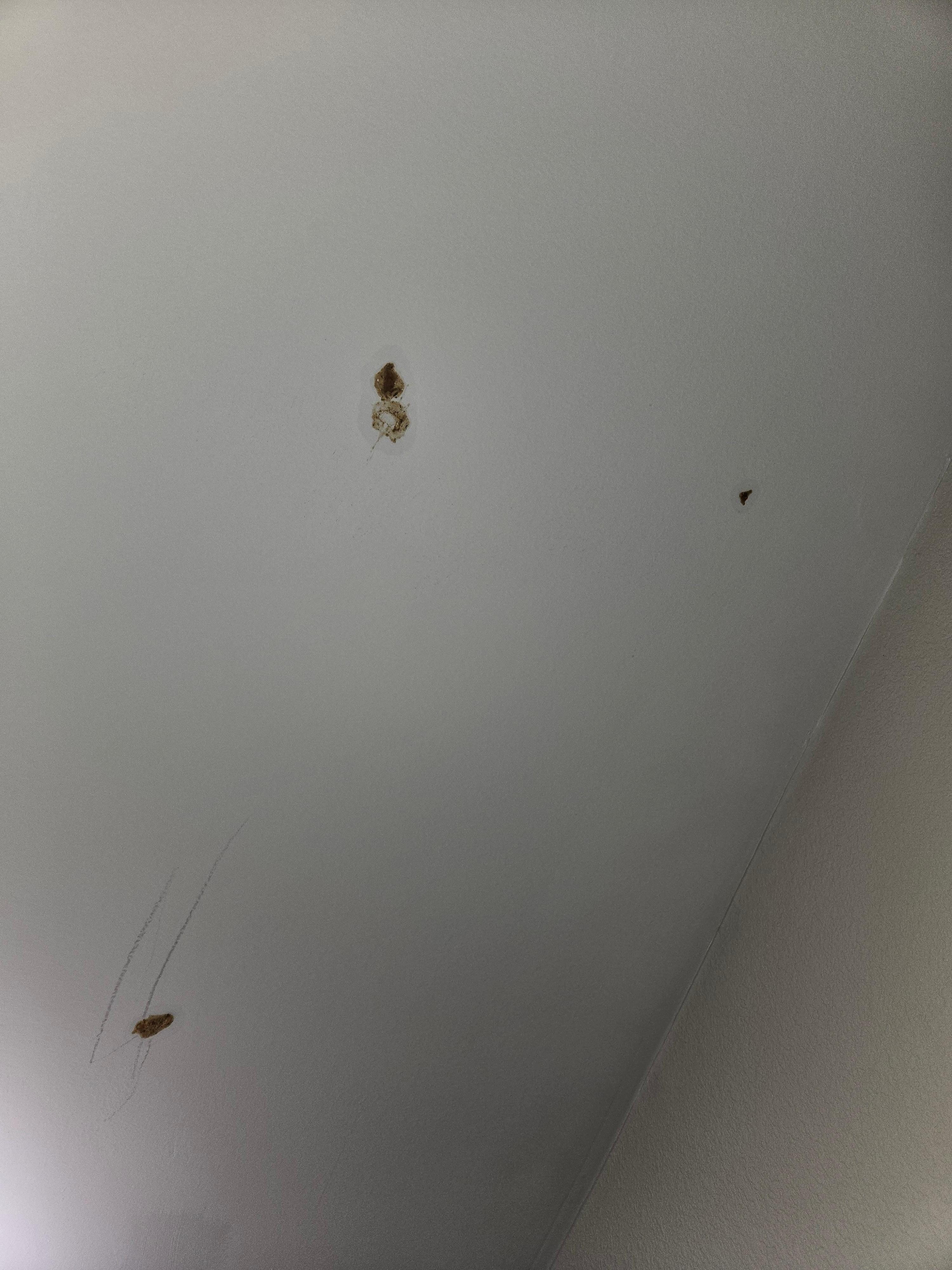 More fecal matter