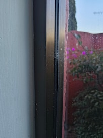 Telarañas en la ventana