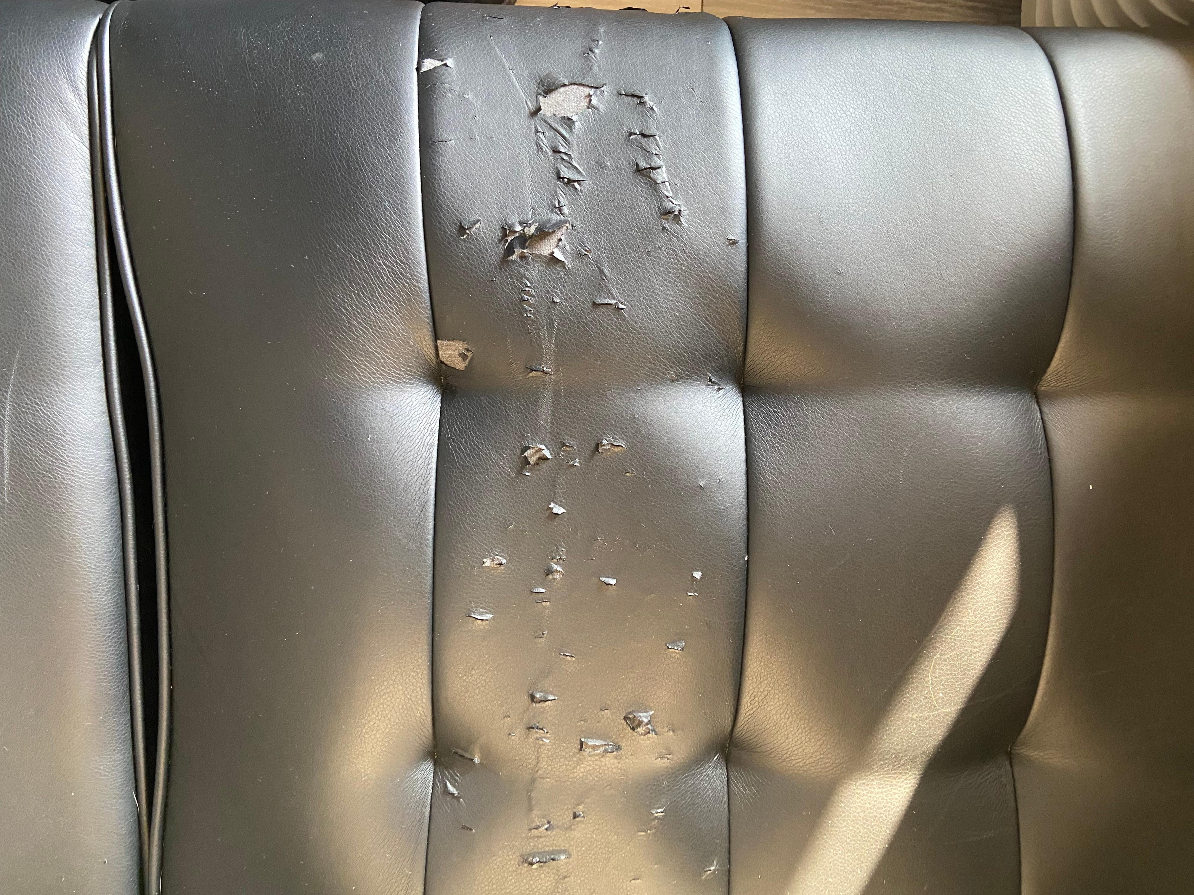 Holes and scratches in couch cover
