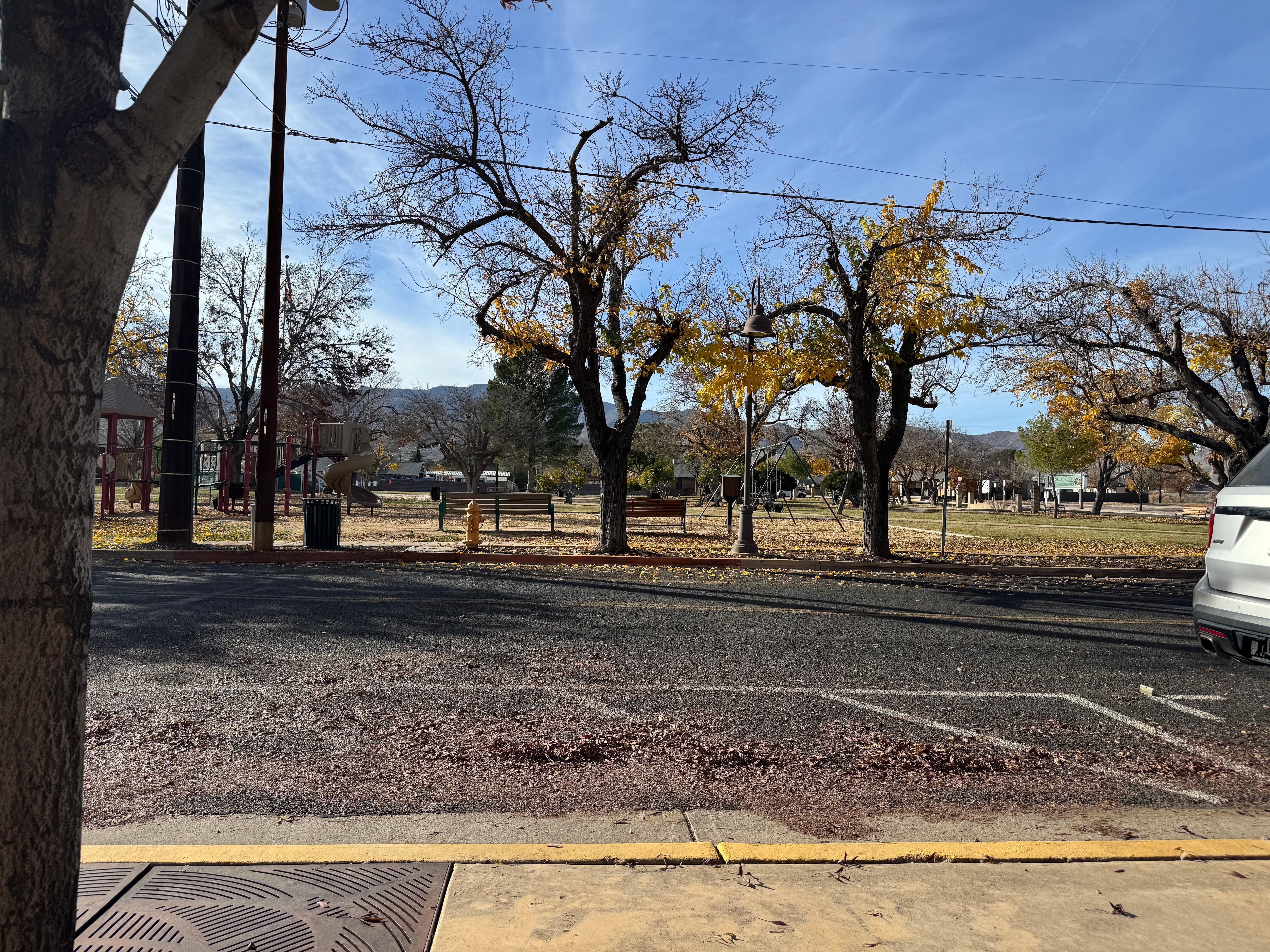 View of the public park from Room 9