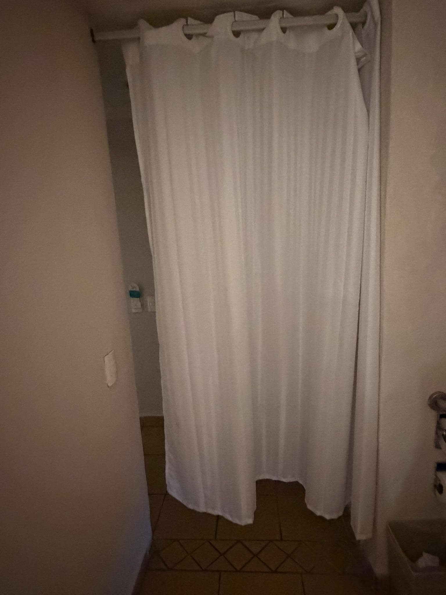 No bathroom door, just a curtain that didn't close all the way