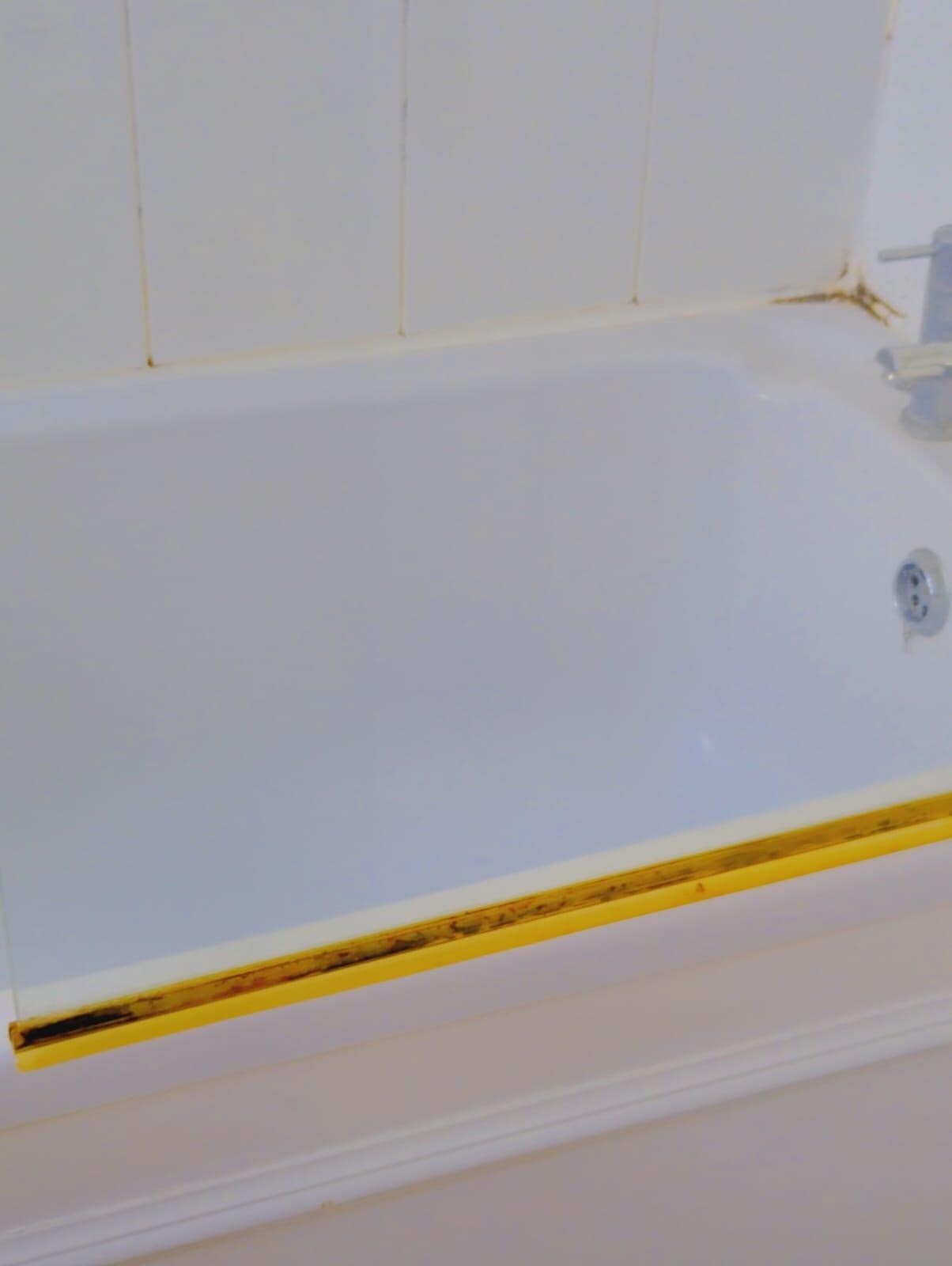 Mold on the bottom of the shower screen 