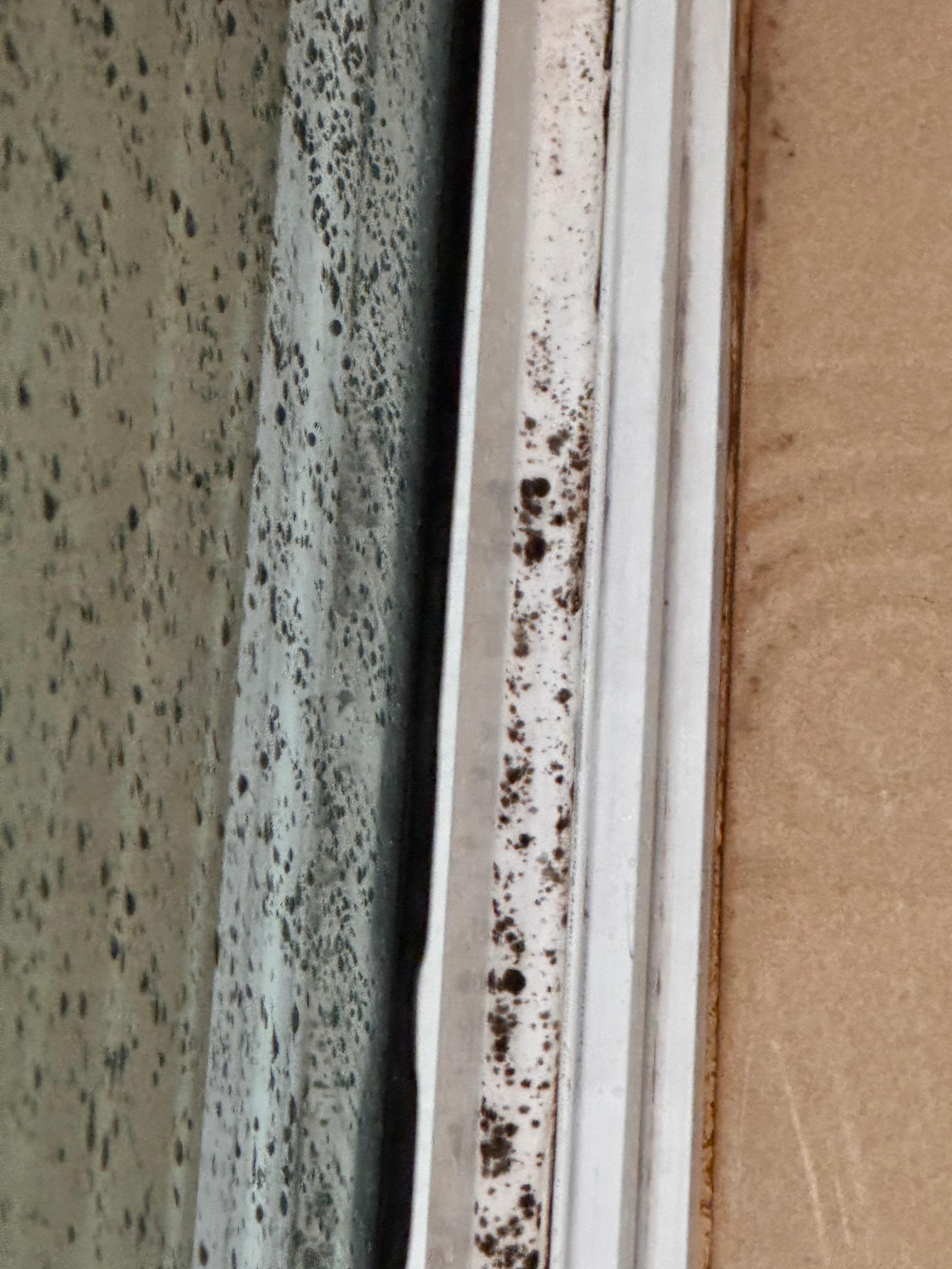 Rail de la Porte de douche moisie et odeur… impossible à nettoyer car encrassé depuis des années 