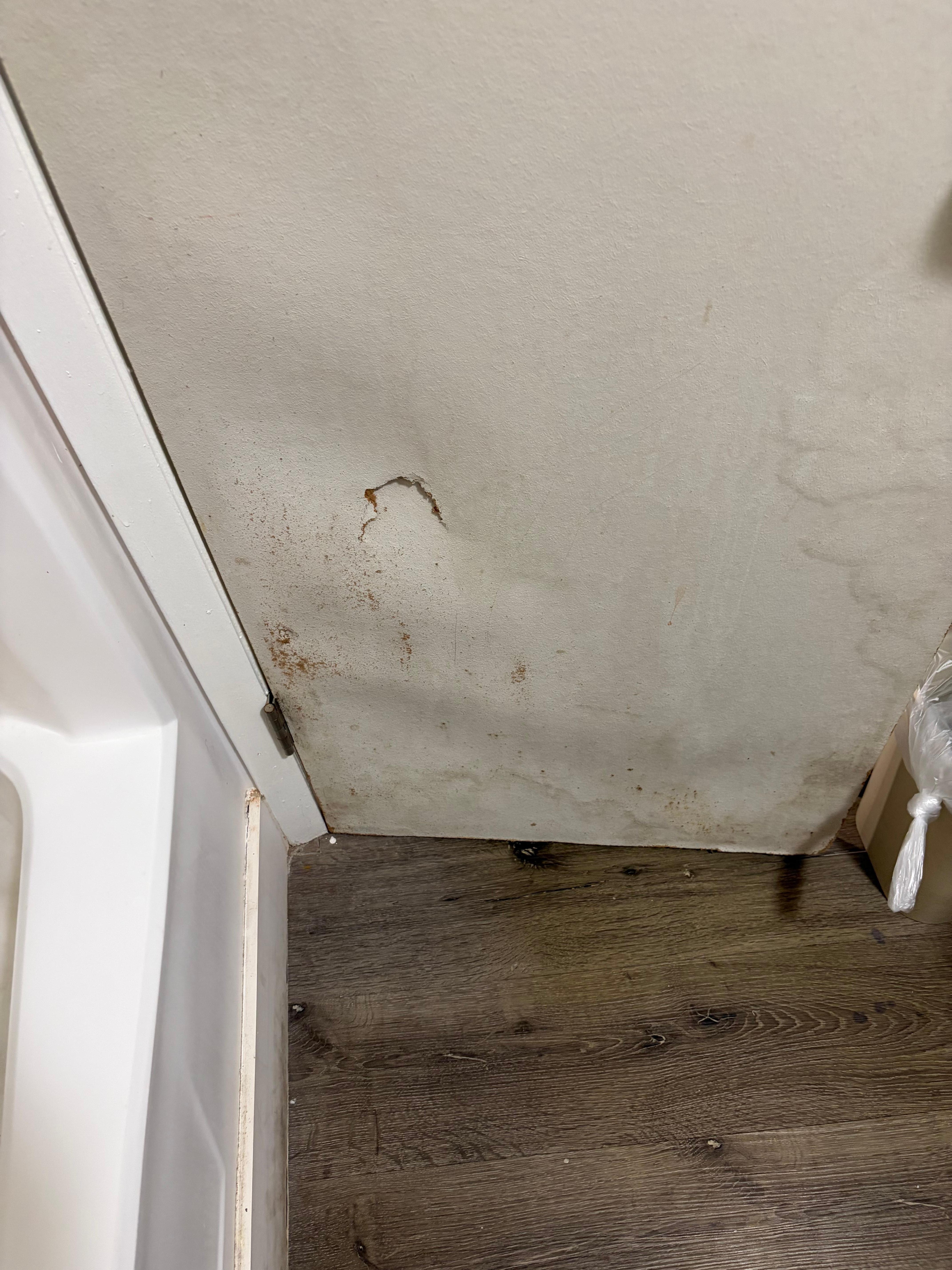 Disgusting door with a hole in it