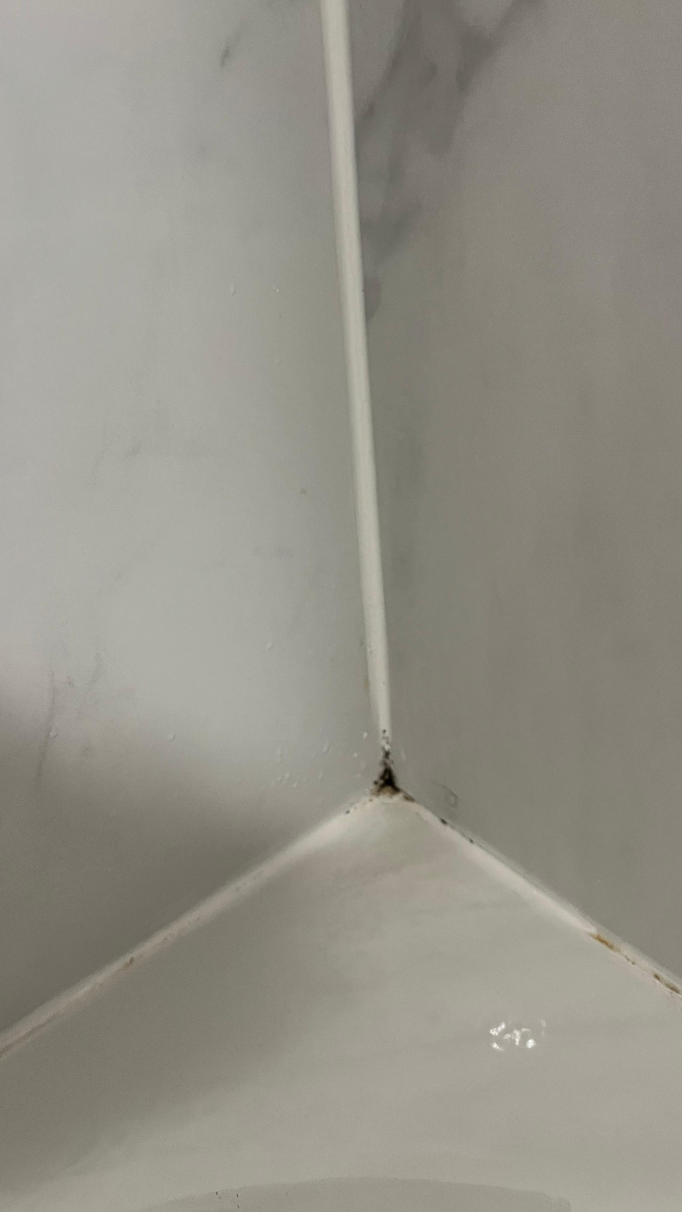 Shower mold on back corner.  The floor sagged in the TV area + when you step out of the shower.   Probably old water damage that was improperly fixed.  