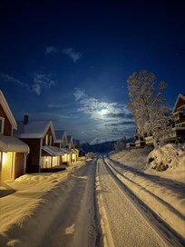 The road to the cabins. A beautiful walk if you aren't pulling a suitcase through it.