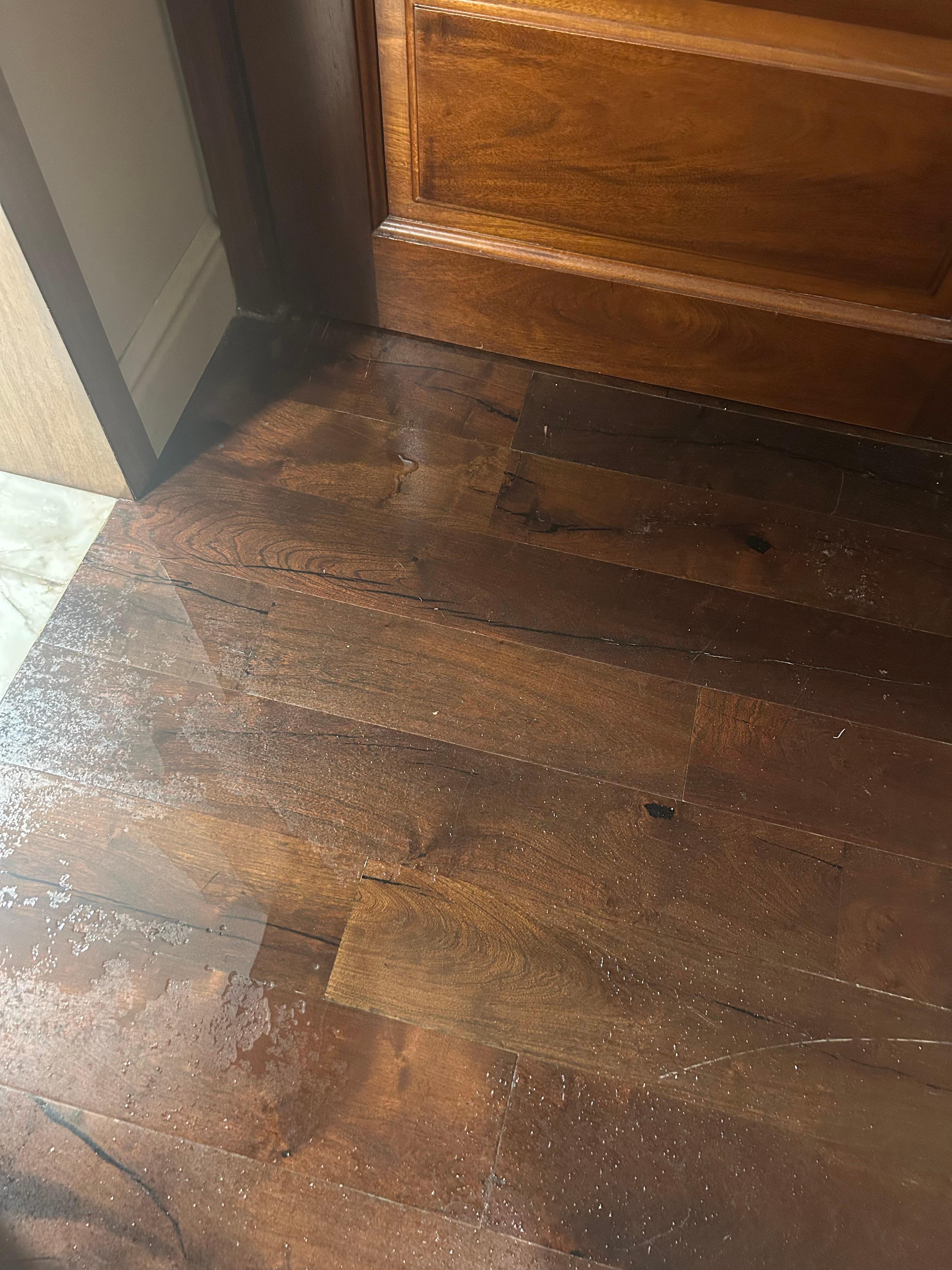 Woke up to a small pond in the front door on my way to the bathroom