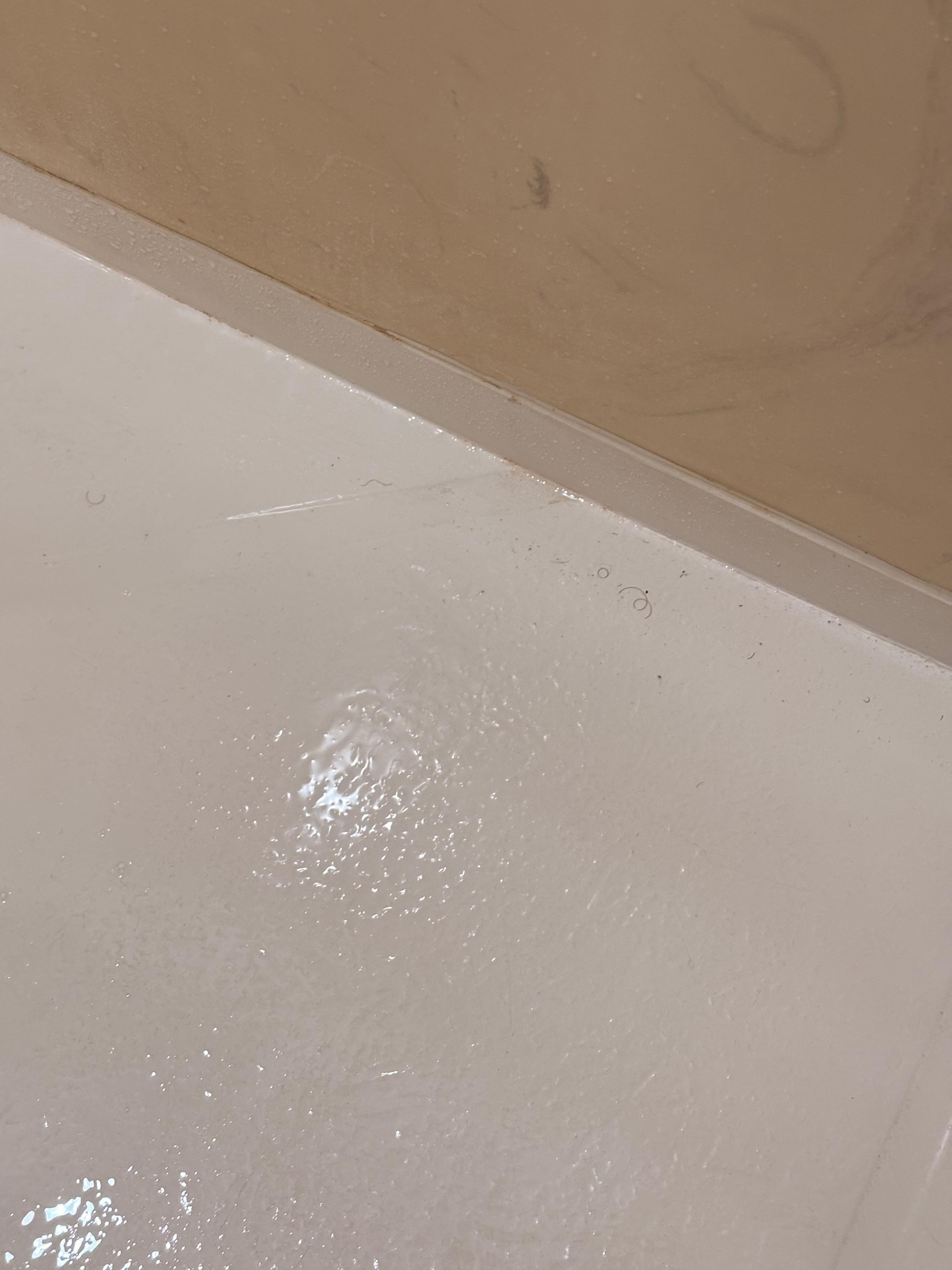 The bath was dirty with hair from previous guest 