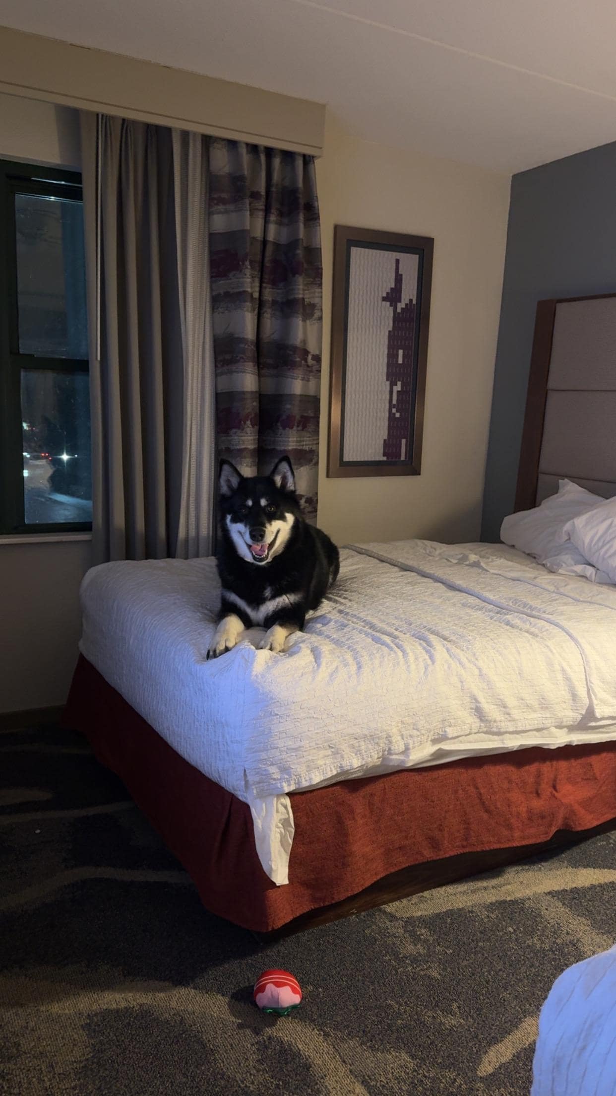 My girl laying on the bed 💙💜🩷