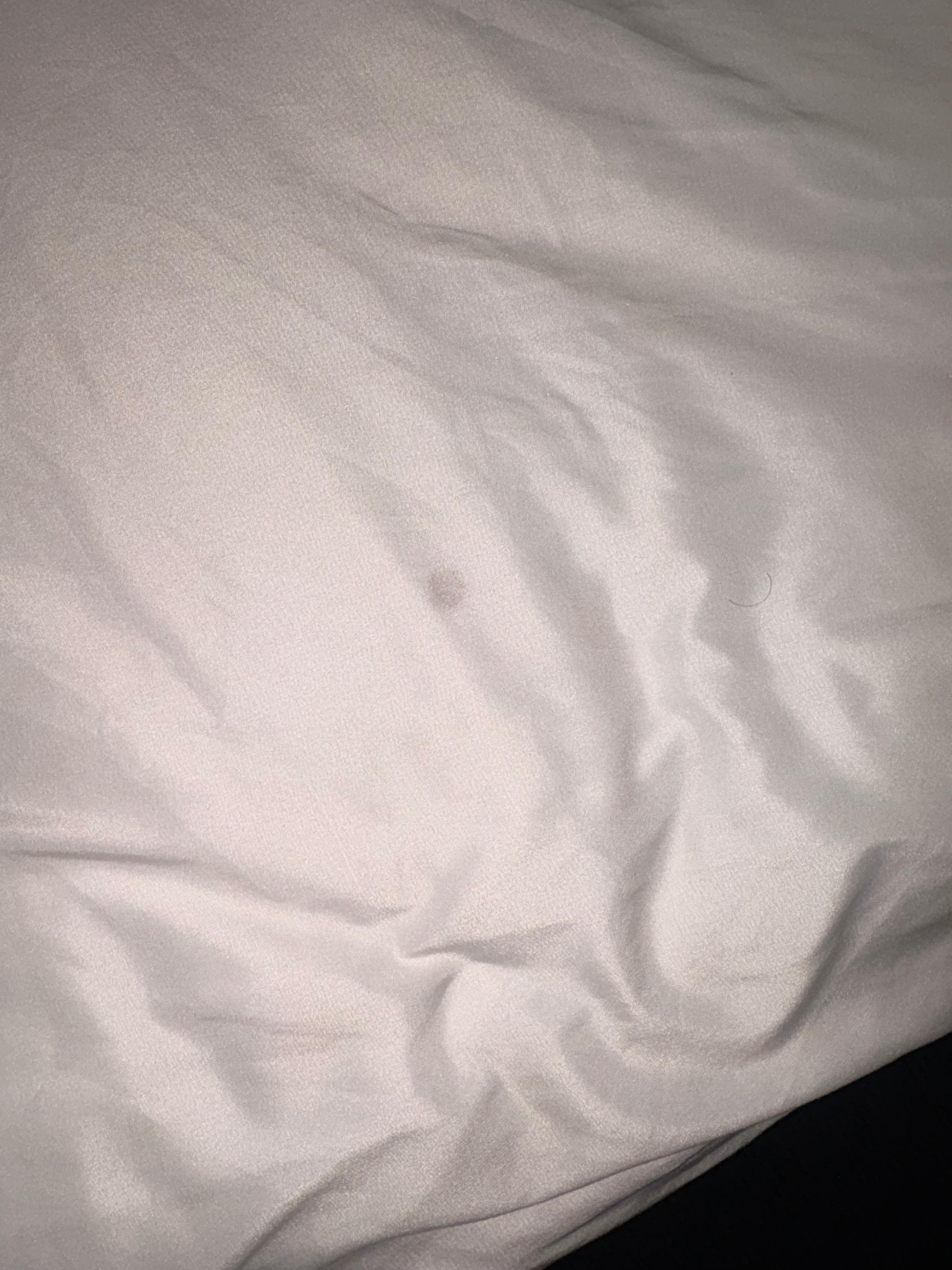 The bed sheets were stained and did not smell clean